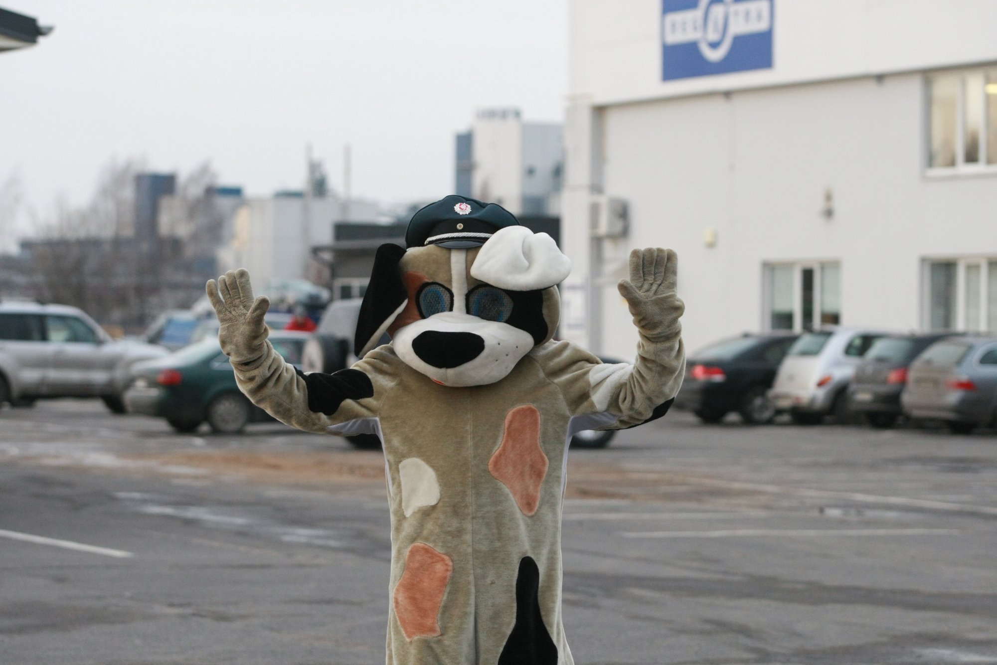 Mamyte, eiti per raudoną nevalia! - Delfi auto