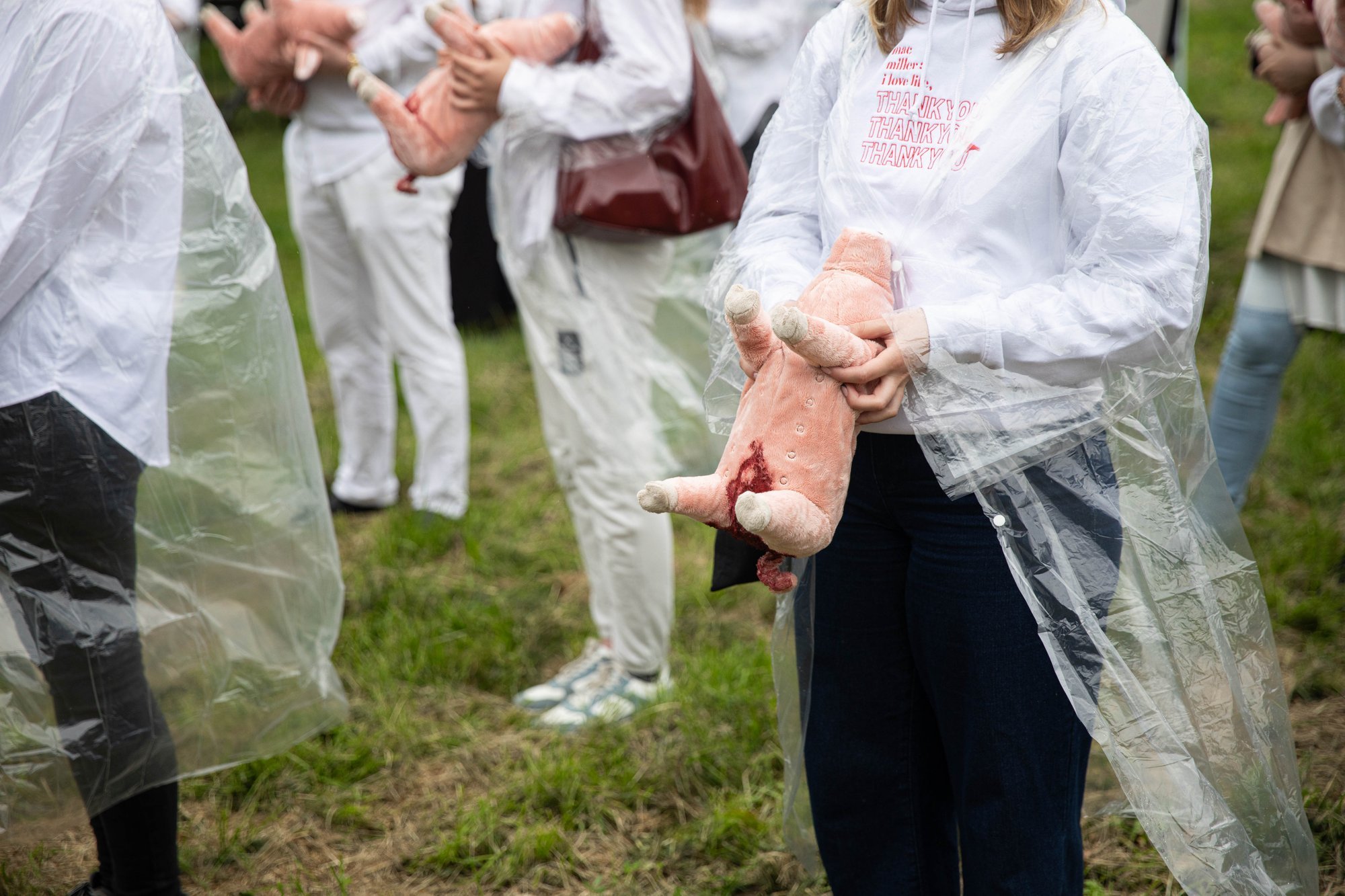 VMVT buria darbo grupę: spręs klausimą dėl be nuskausminamųjų ...