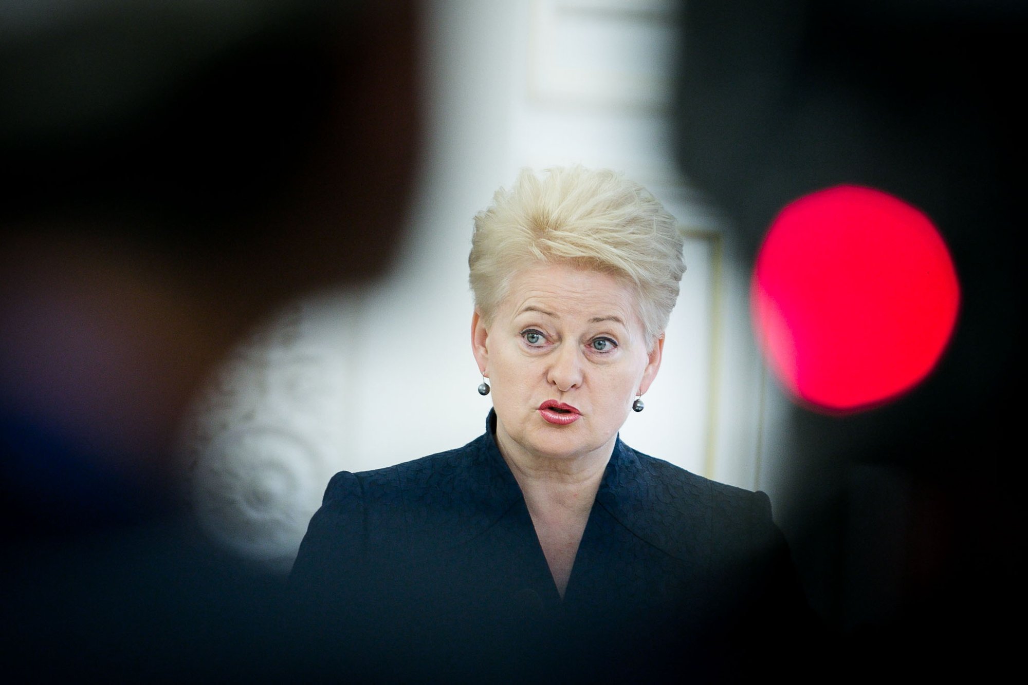 A. Lapinskas. Kas atsakys už voliuntaristinius sprendimus? - Delfi