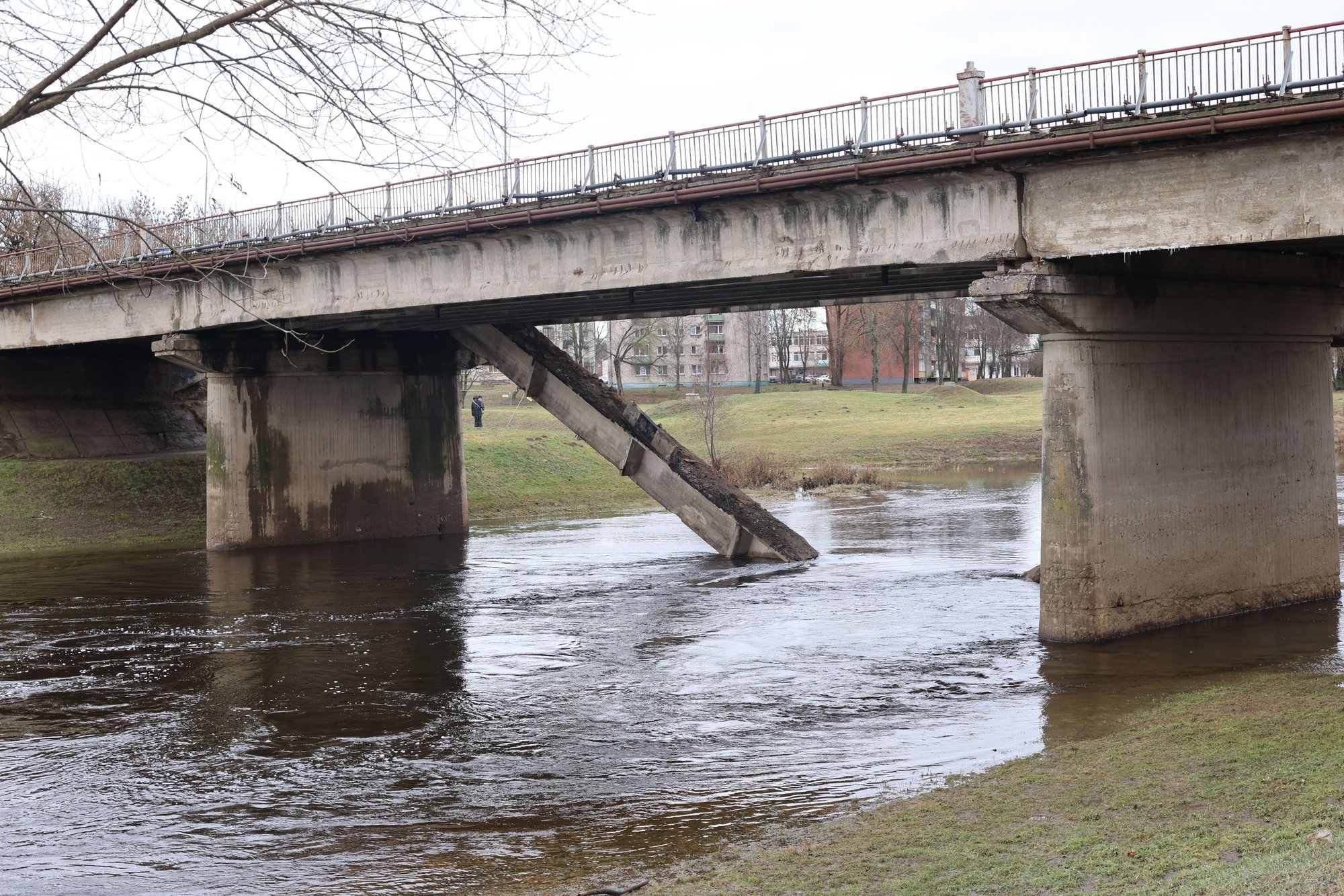 Tiltai sugriuvo, žmonių mažėja, bet Kėdainiuose gyvenimo kokybe ...