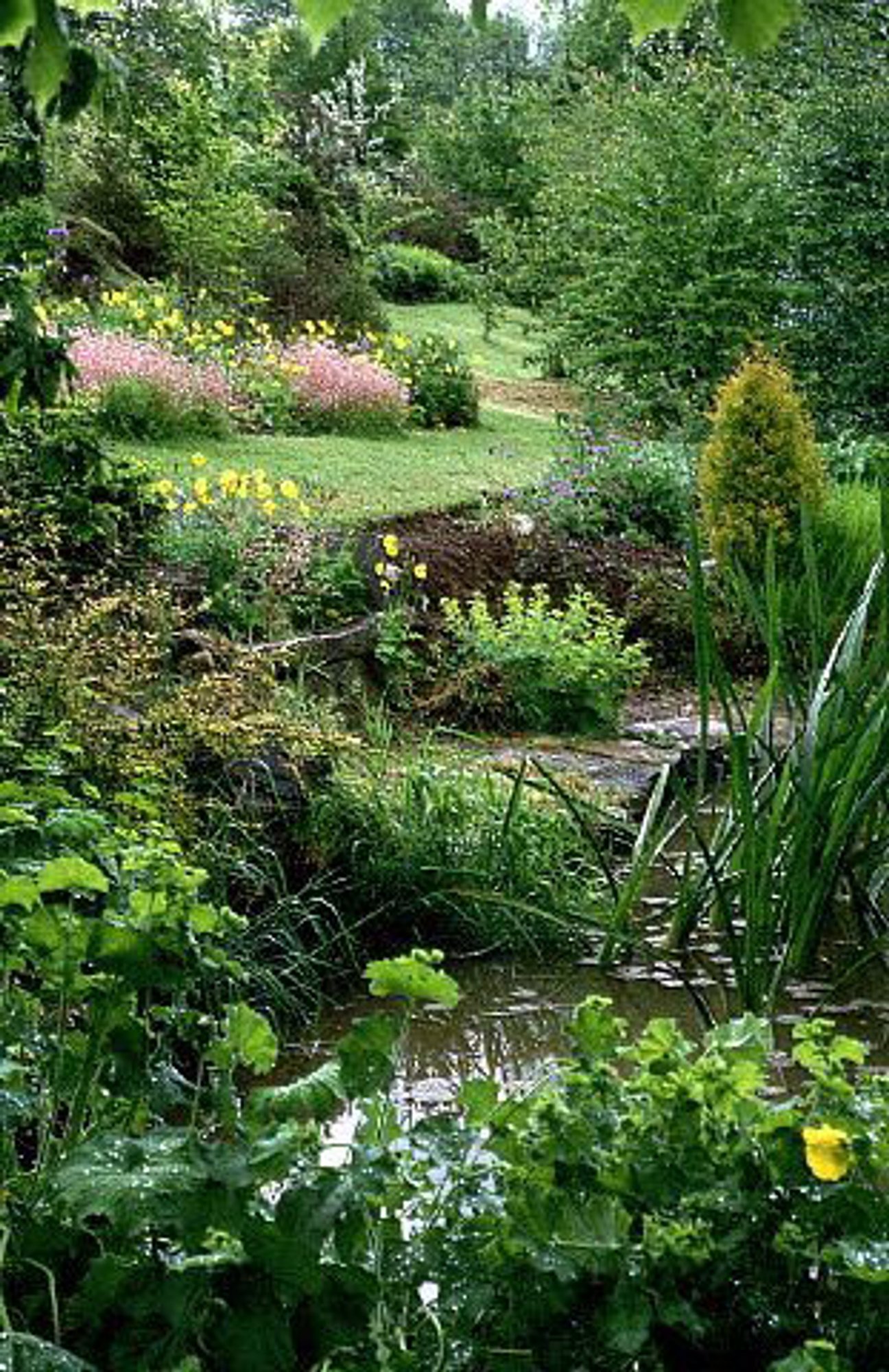 Mažas vandens stebuklas sodyboje - Delfi gyvenimas