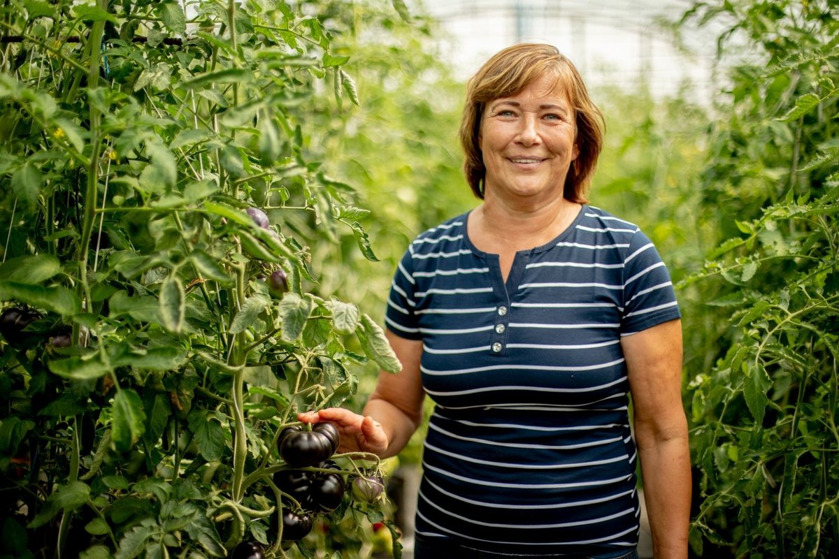 Kaip PROFITUS platformą investavimui atranda vyresni vartotojai ...