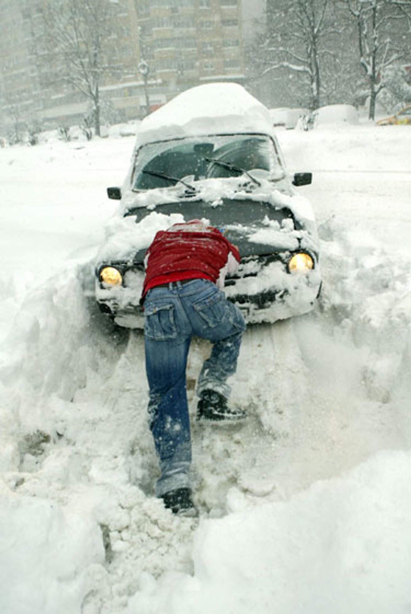 Pusnys nepaneigia klimato atšilimo - Delfi grynas
