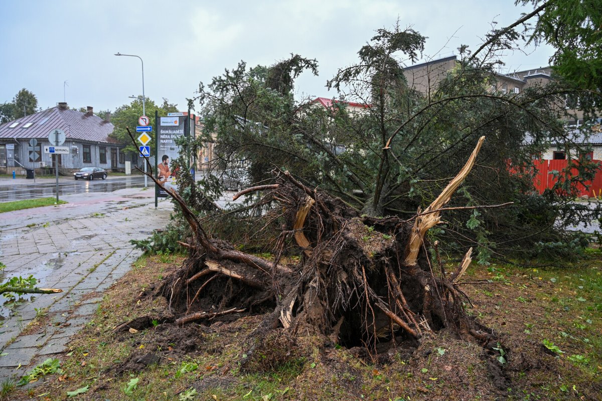 Audringą rytą – nuostaba dėl BPC darbo - Delfi