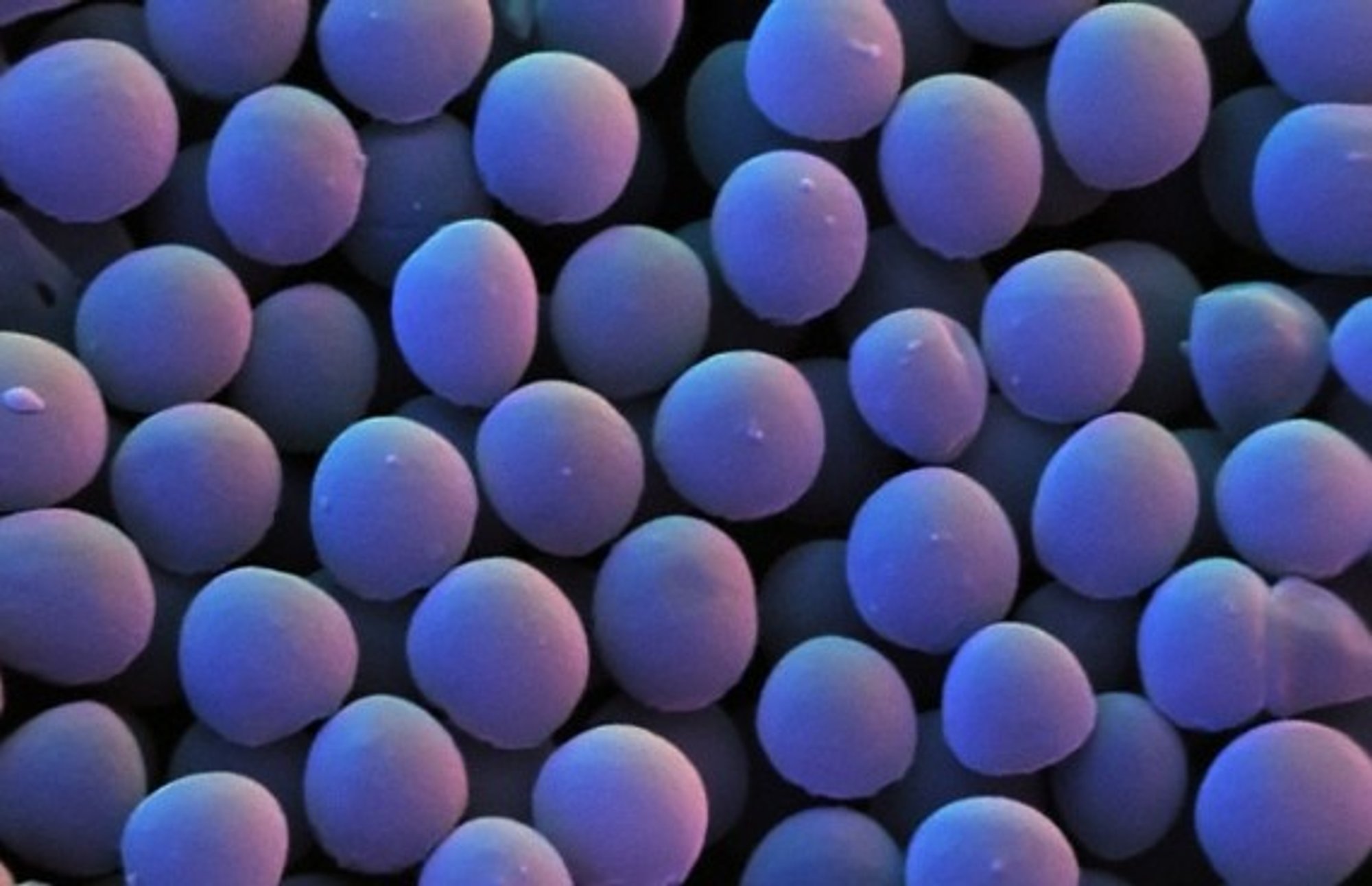 Žmogaus žarnyno mikrobai – antrasis genomas - Delfi mokslas