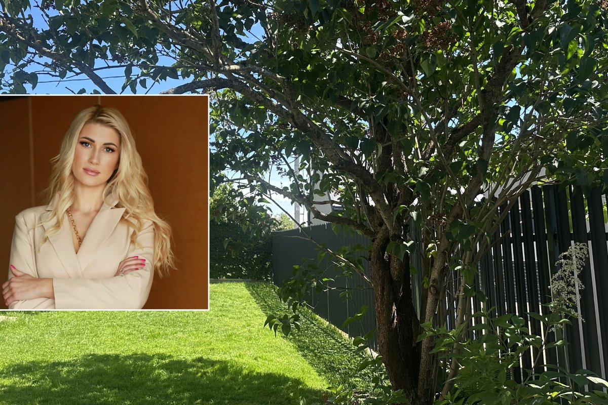 Kaimynus supykdė sena alyva: liepia nupjauti - Delfi būstas