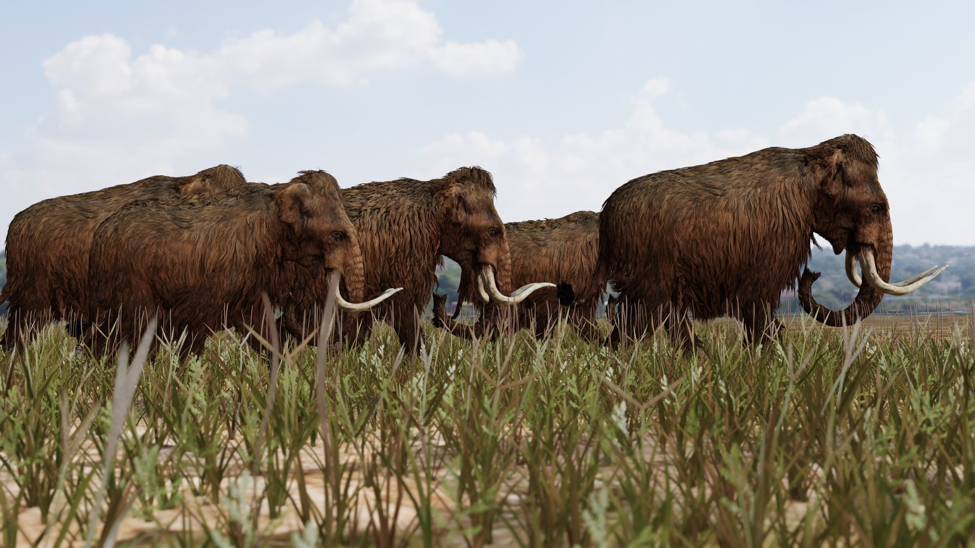 Netikėta: naujas tyrimas rodo, kad mamutai galėjo išnykti dėl būklės ...