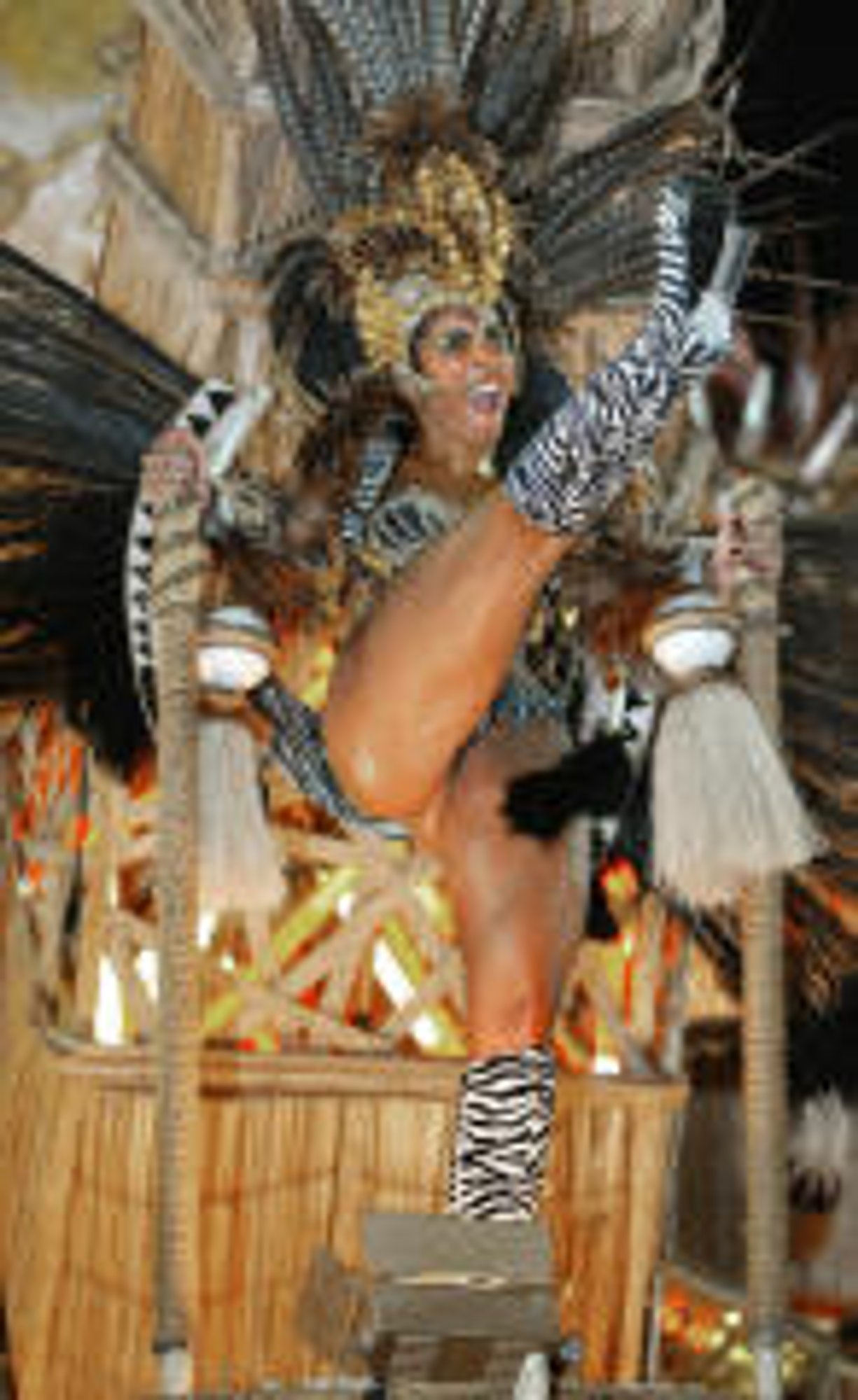 Rio de Žaneiro karnavalas sukosi karštu sambos ritmu - Delfi