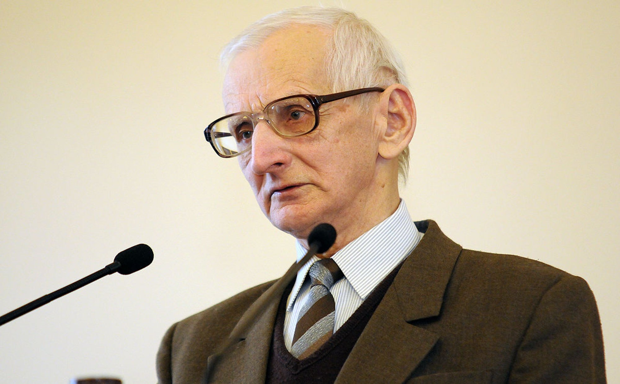 Vitas Labutis. Žygiavęs lietuvių literatūros riterio pėdomis - Delfi veidai