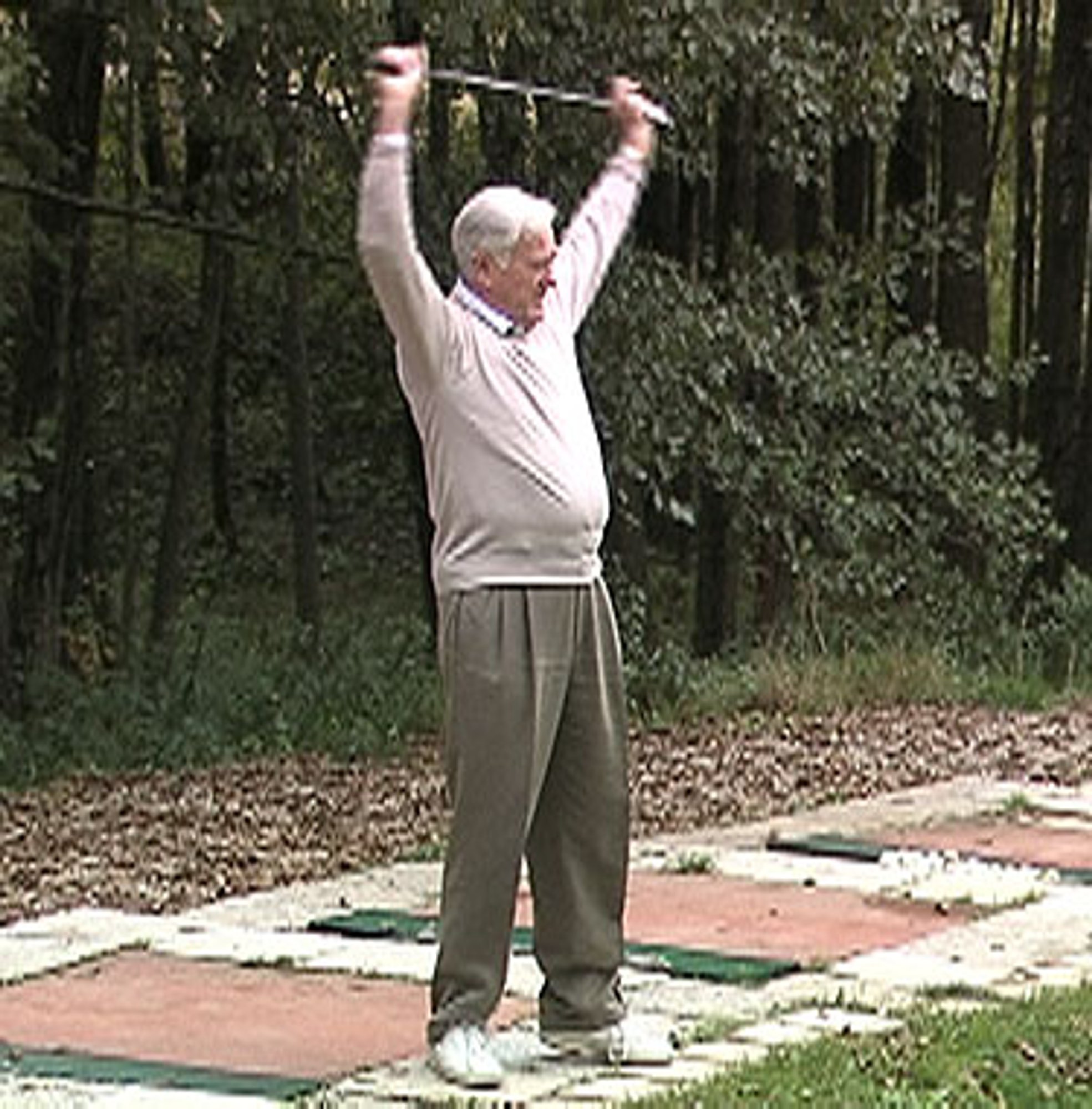 V.Adamkus: jei Seimas kels mažiau skandalų, liks laiko ir sportui - Delfi