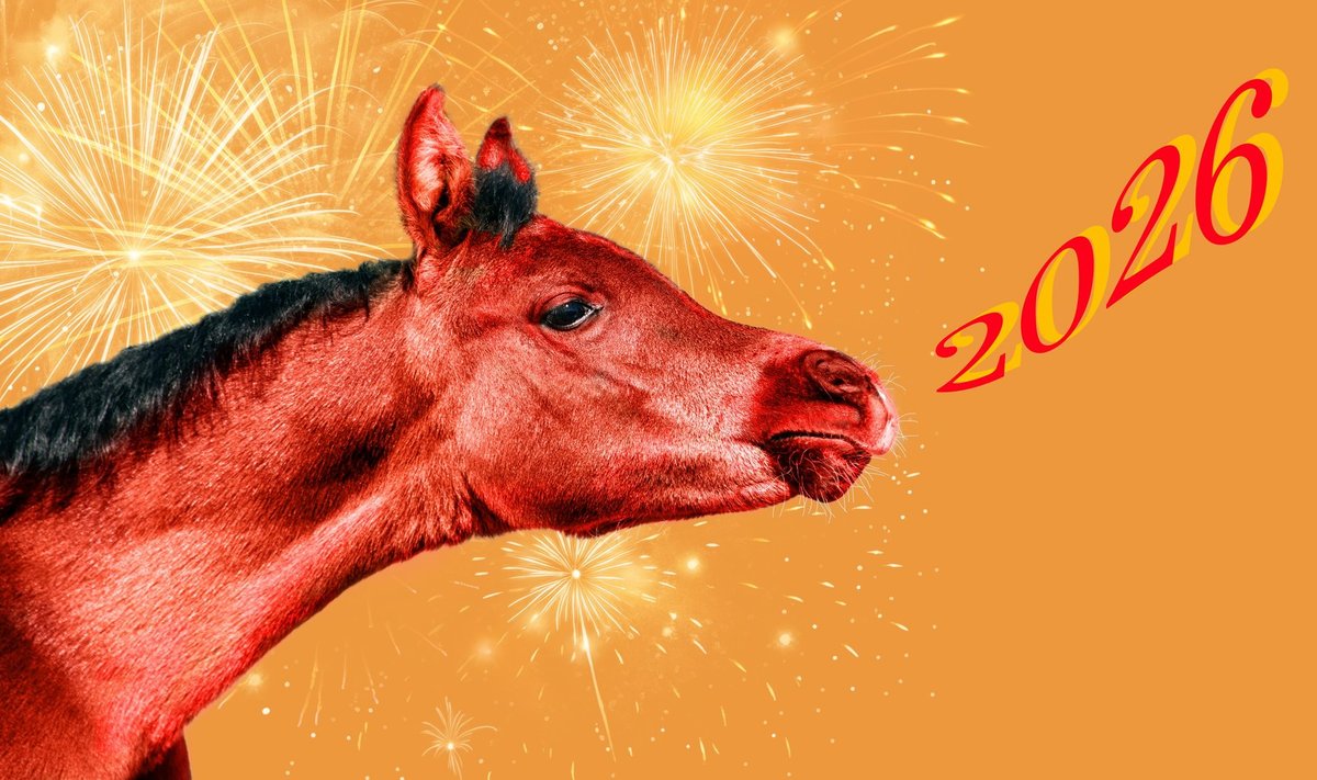 Raudonasis Ugninis Arklys – 2026 metų simbolis: kam prasideda itin ...