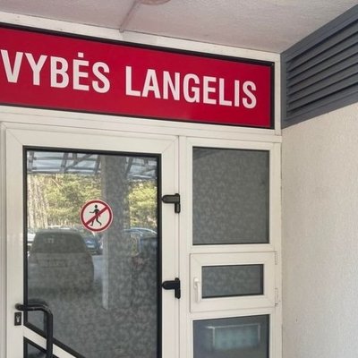 Gyvybės langeliai veikia Lietuvoje nuo 2009-ųjų - Delfi šeima