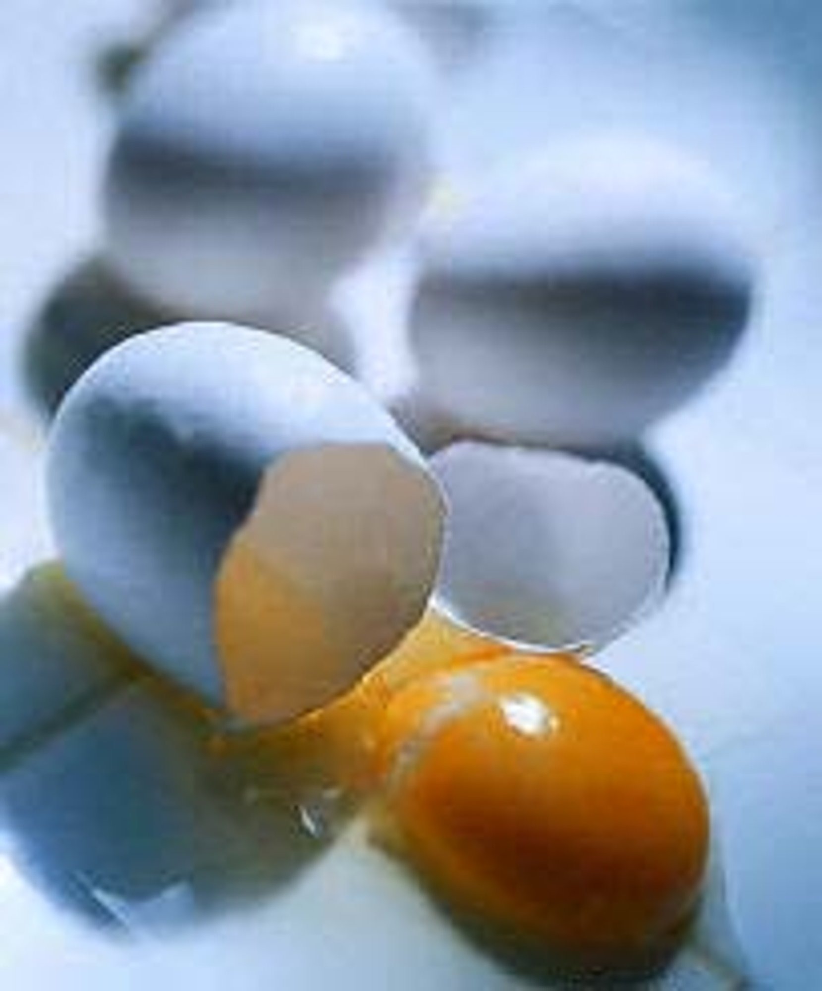 Kodėl kietai virto kiaušinio trynys pamėlynuoja? - Delfi mokslas