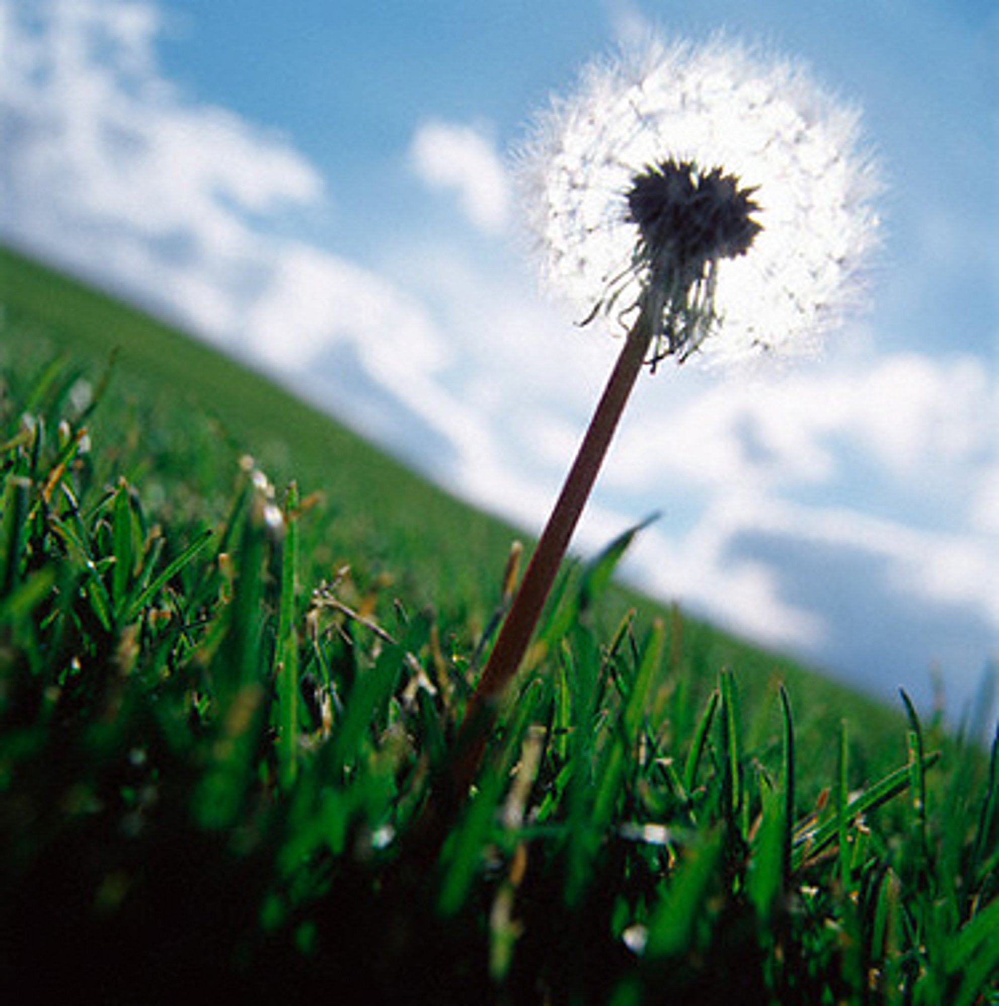 Šešiolikmetis apie verkšlenimą ir blogą valdžią - Delfi kartu