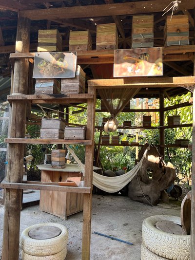 Kavos ūkiuose Hondūre pluša ir bitės – kuo ypatingas toks medus? - Delfi maistas