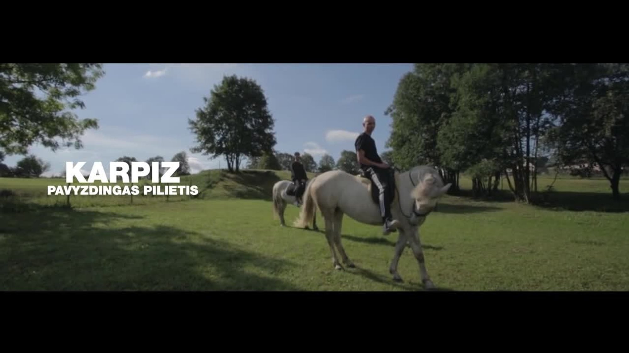 Pavyzdingo piliečio Karpiz'o nepolitinis manifestas - Delfi TV