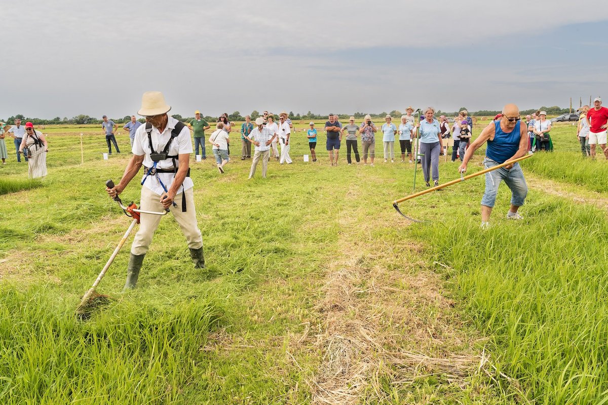Metų šienpjovio titulą išsaugojo šilutiškis, dalgis vėl nurungė trimerį ...