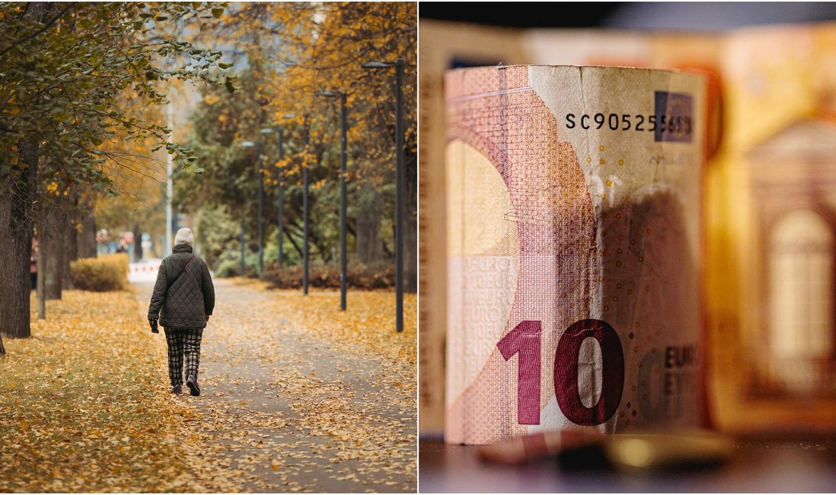 Išankstinė senatvės pensija: kaip sušvelninti mažėjimą? - Delfi verslas