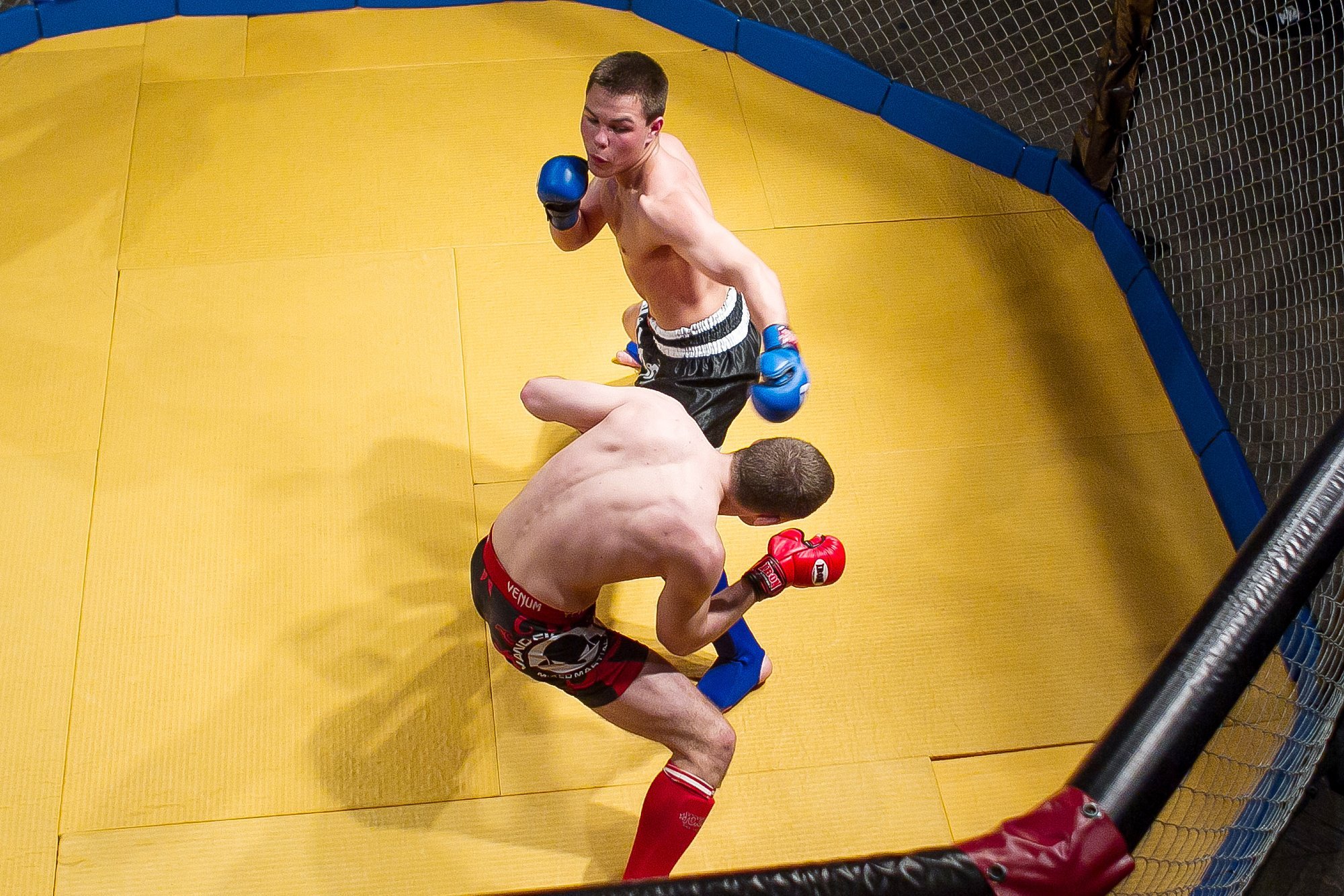 Kovinis sporto renginys „Vale Tudo Fight Night 5“ - Delfi TV