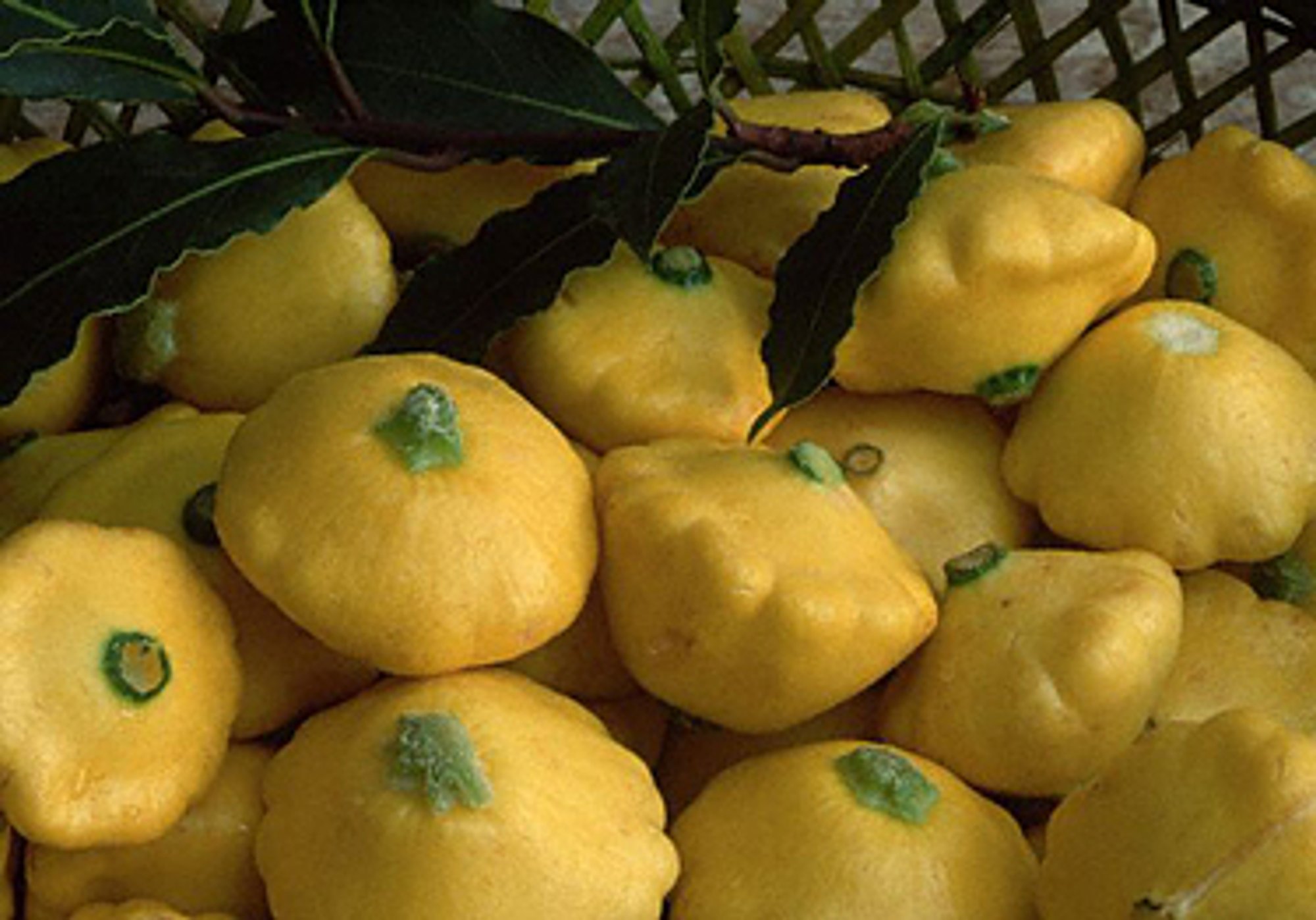 Įdaryti patisonai su sūriu ir šonine - Delfi gyvenimas