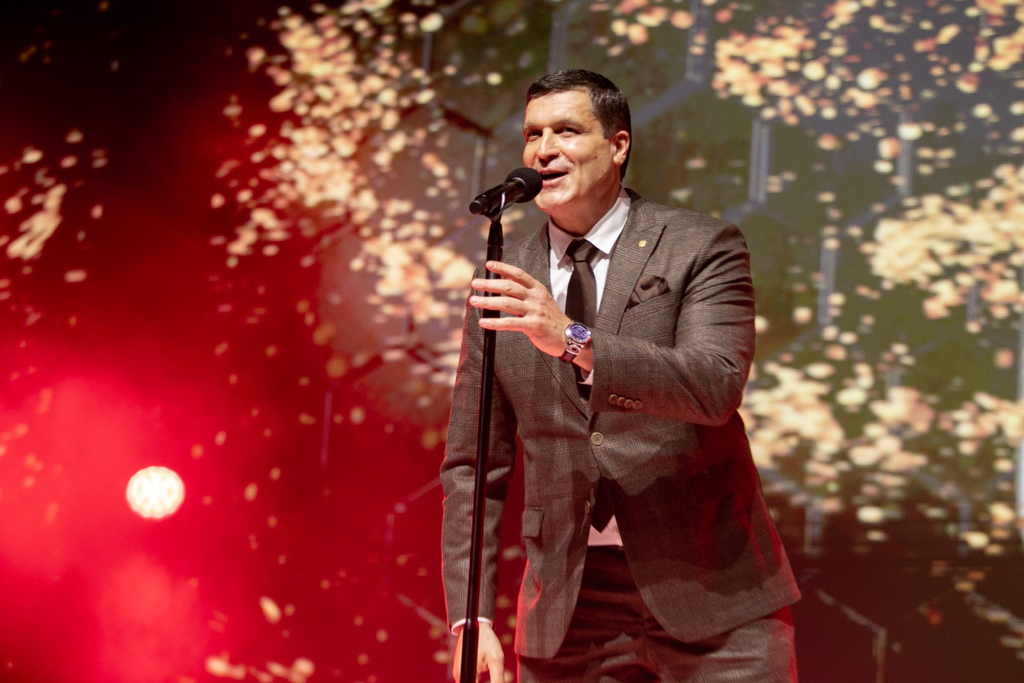 Pukelis pripažintas paskleidęs Malinausko garbę ir orumą žeminančius ...