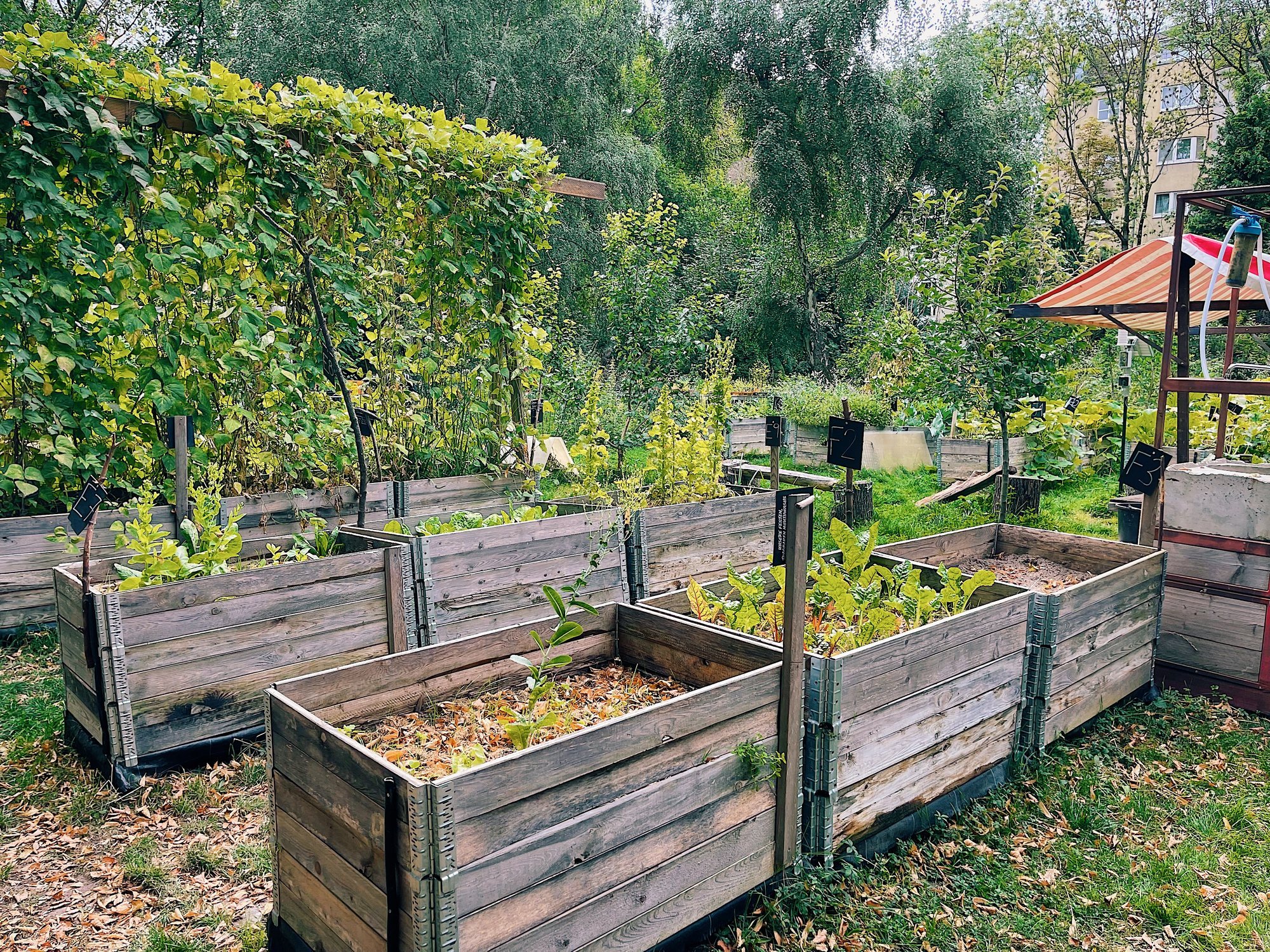 Kapinėse augina daržoves, o bažnyčioje įkūrė restoraną – šventvagiška ...