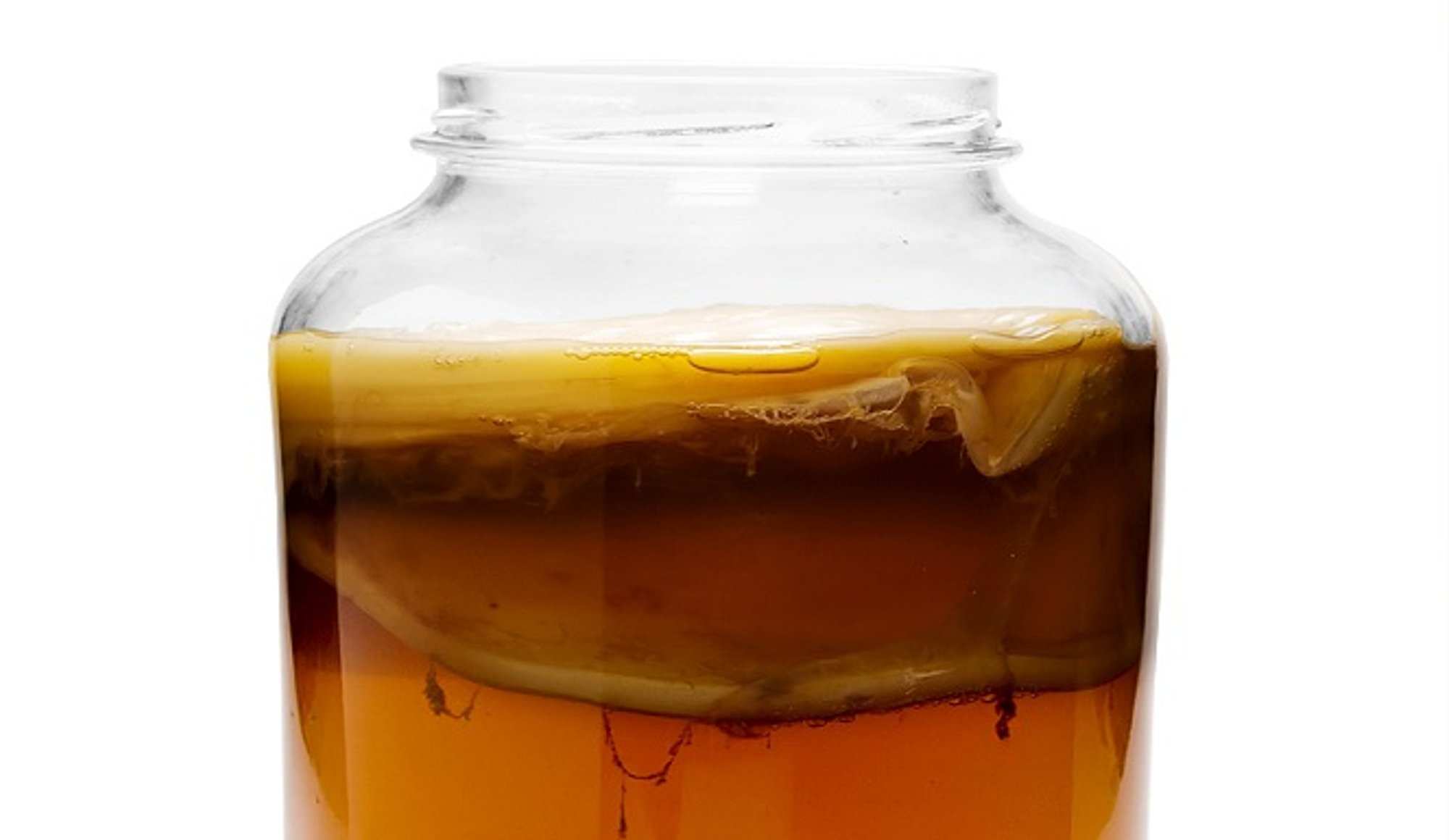 Arbatos grybas: vaistas nuo visų ligų ar placebas naivuoliams? - Delfi ...