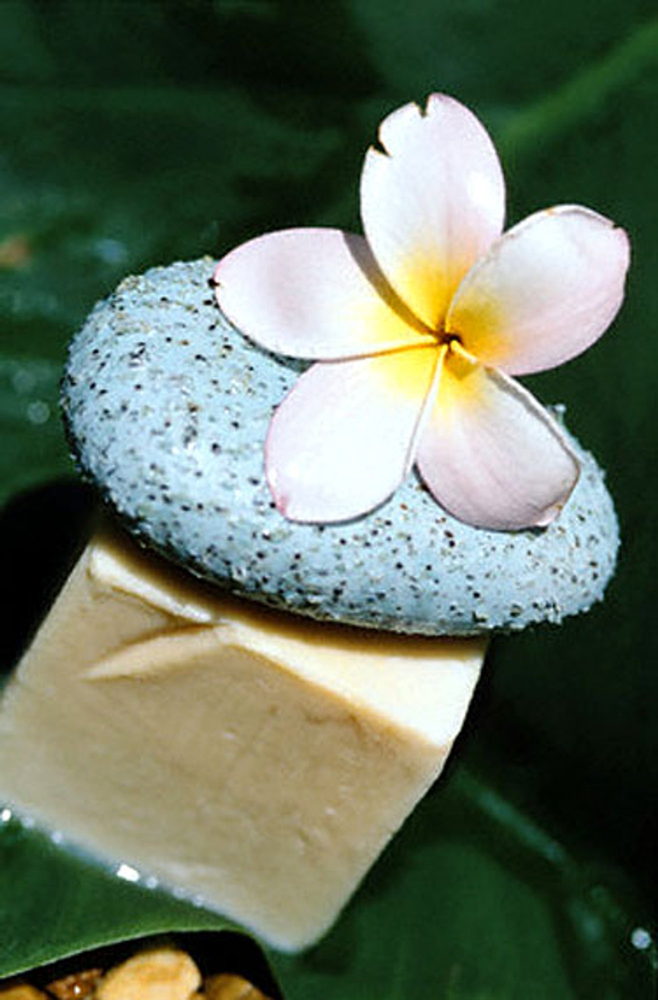 Muilas – odos priešas? - Delfi gyvenimas