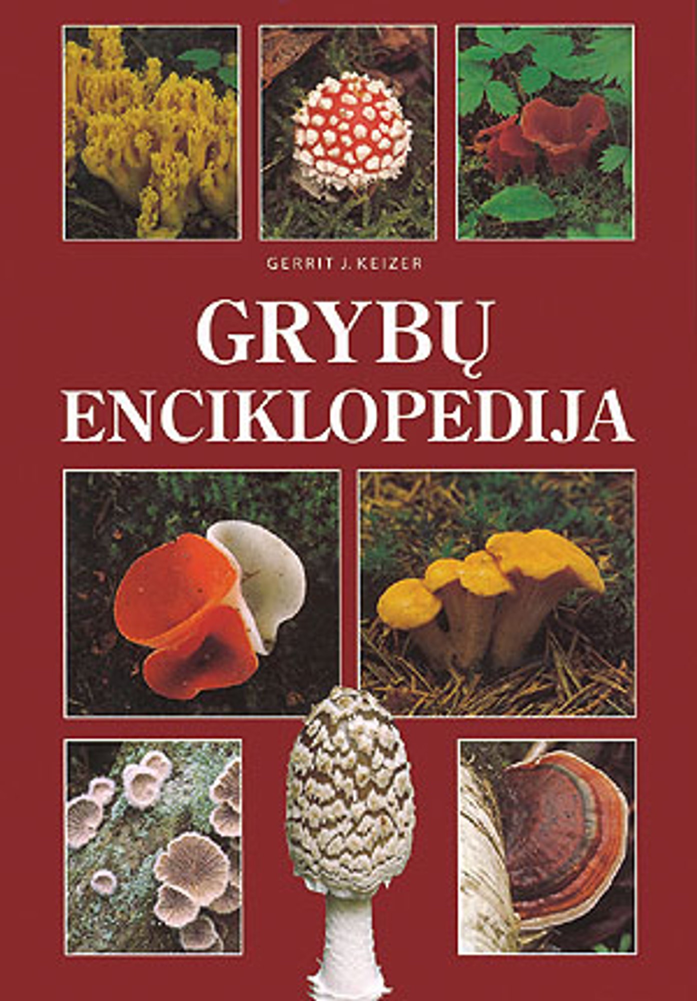 Gerritas J. Keizeris „Grybų enciklopedija“ - Delfi veidai