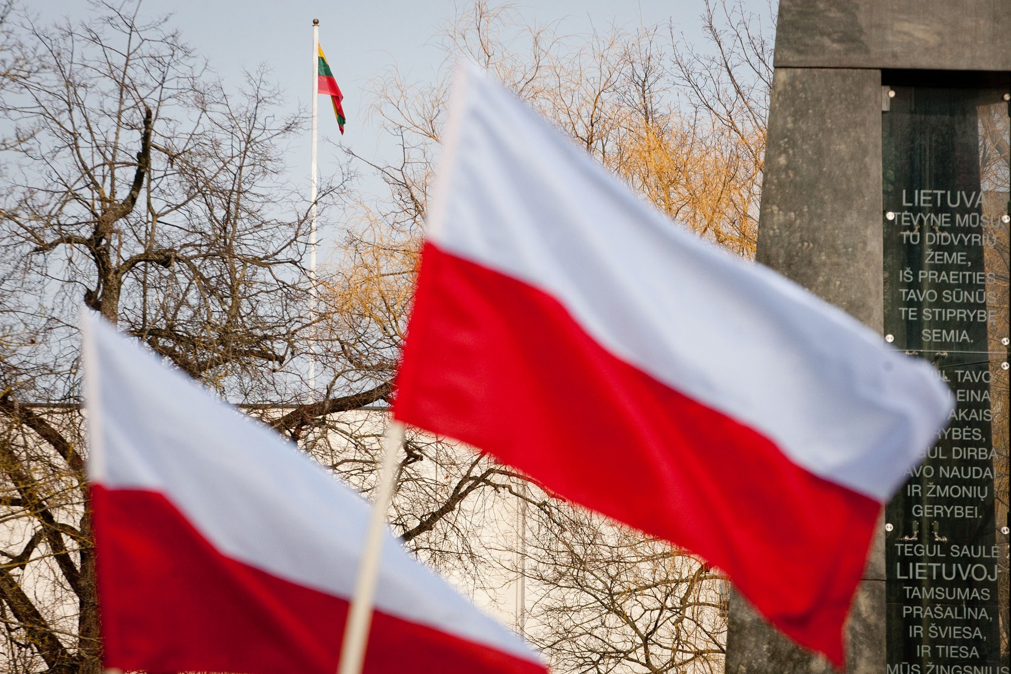 Polish army general staff chief on formal visit in Lithuania - Delfi EN