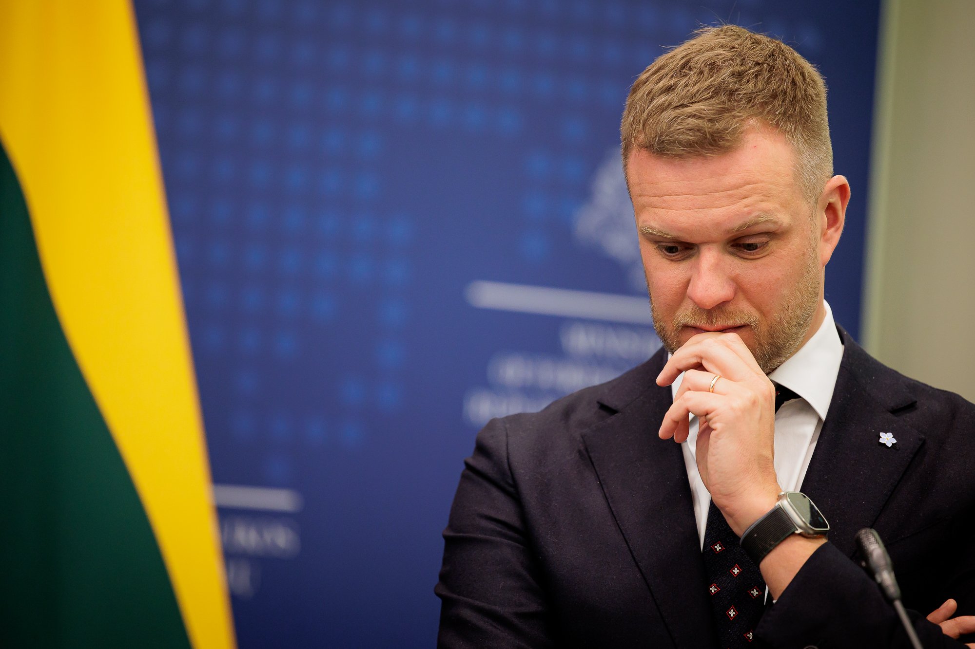 Landsbergis matytų galimybę Lietuvos kariams saugoti Gotlando salą - Delfi