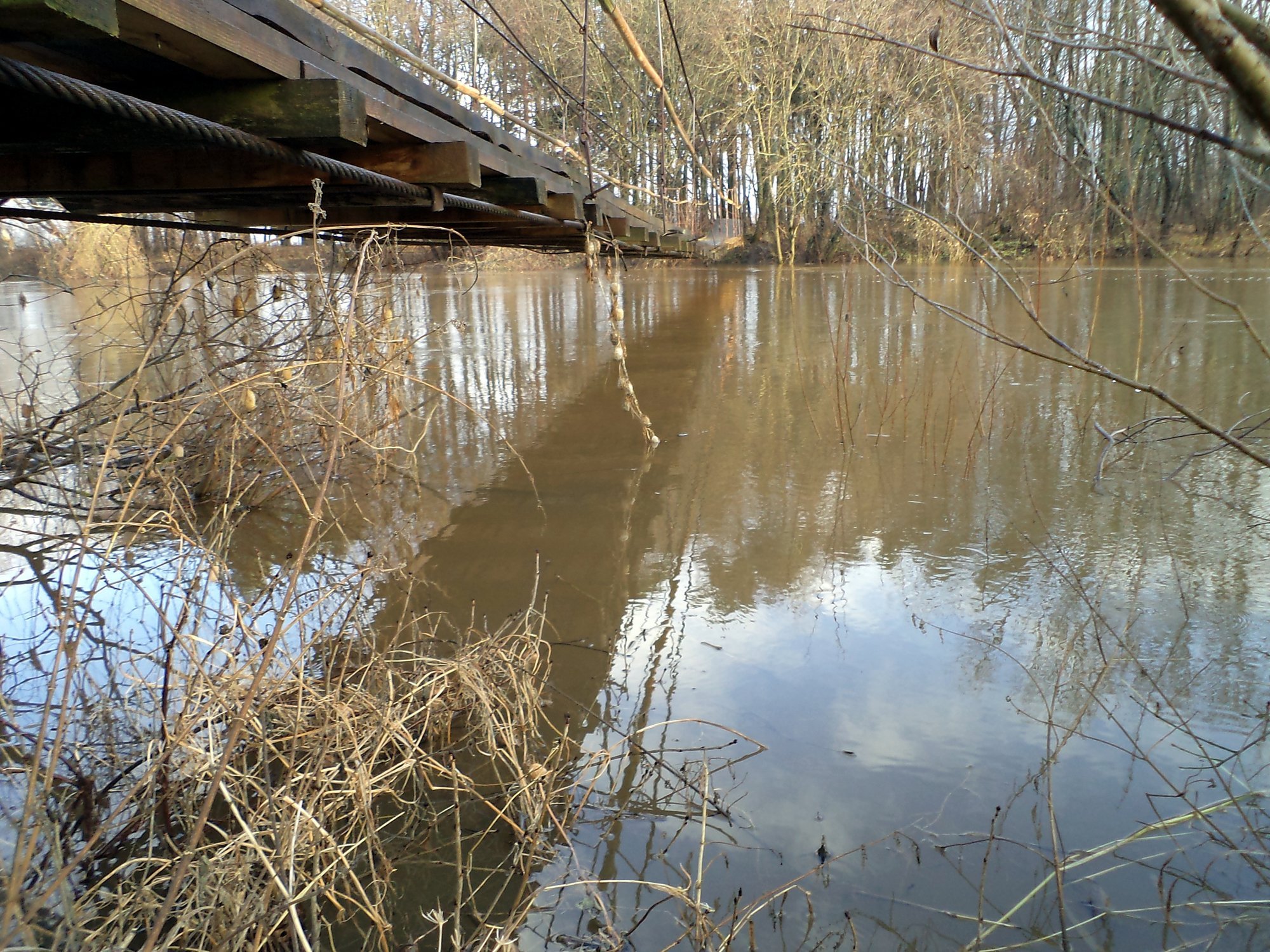Prie Minijos upės nužudytas žinomas Gargždų fotografas, suimti du ...