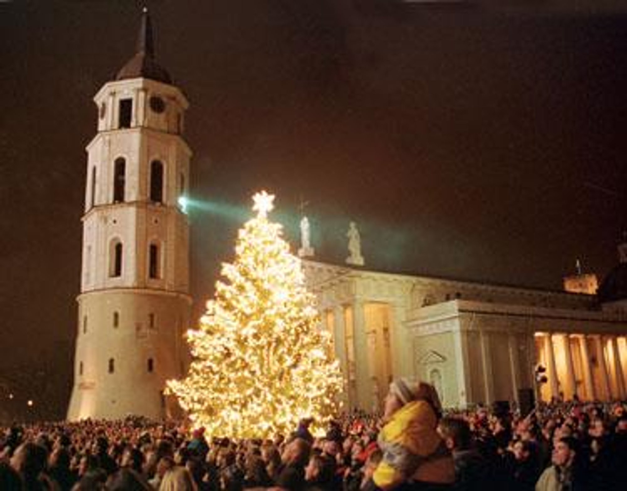 Naujametinis prezidento sveikinimas Lietuvos žmonėms - Delfi