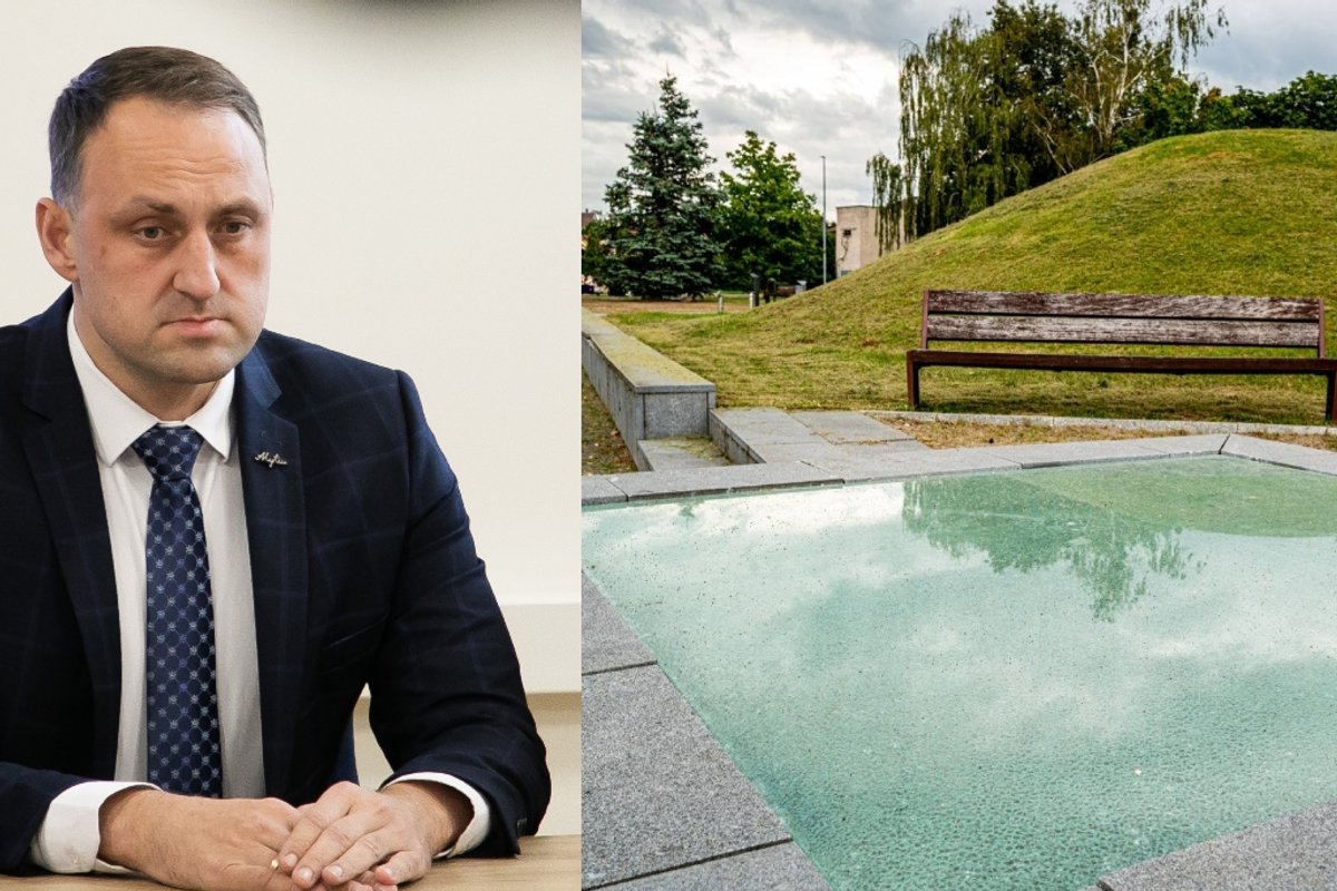 Alytaus meras Cesiulis pasibaisėjo vaikų vandalizmu mieste - Delfi miestai