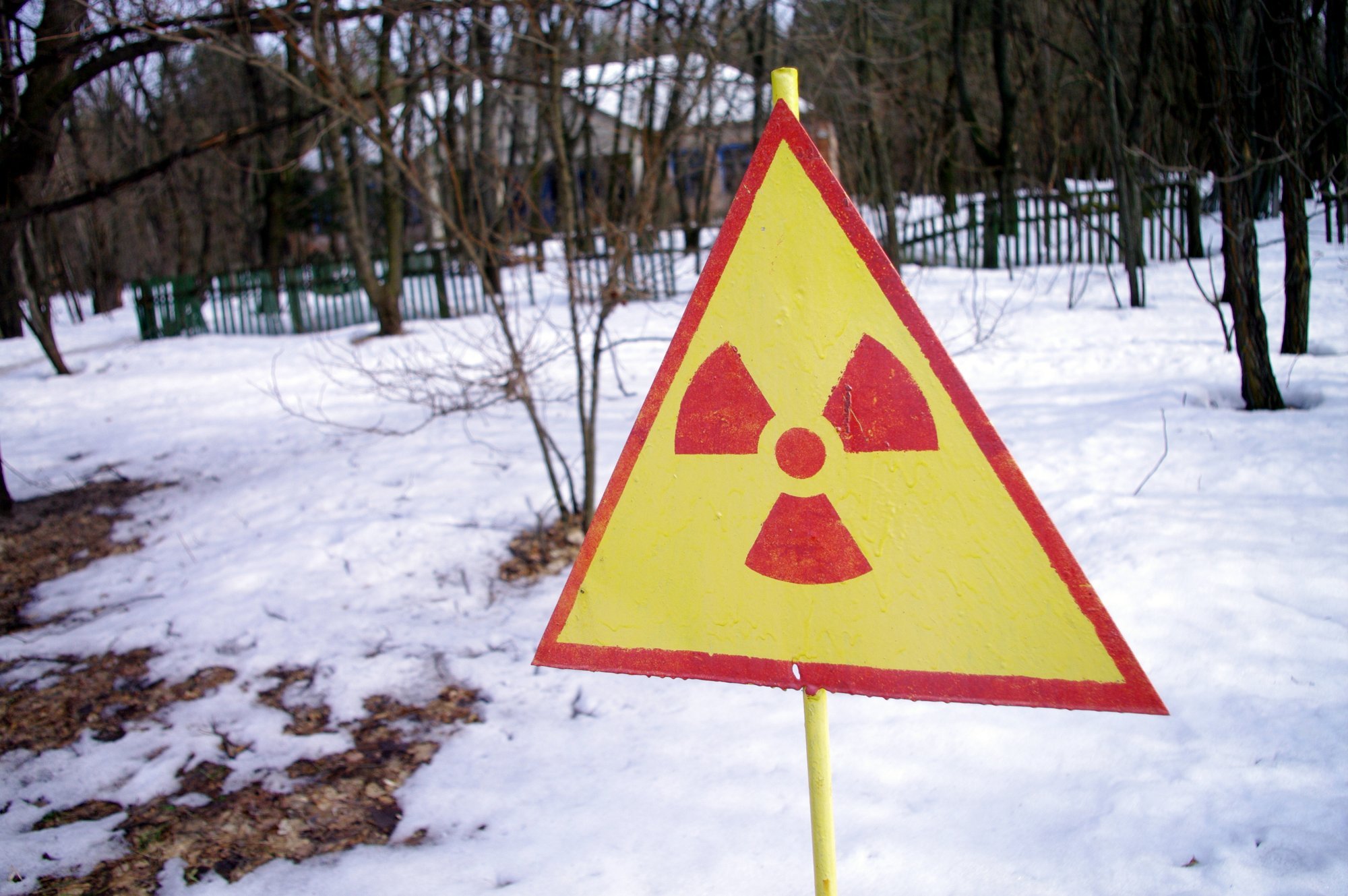 30 metų po avarijos Černobylio pienas vis dar radioaktyvus - Delfi gyvenimas