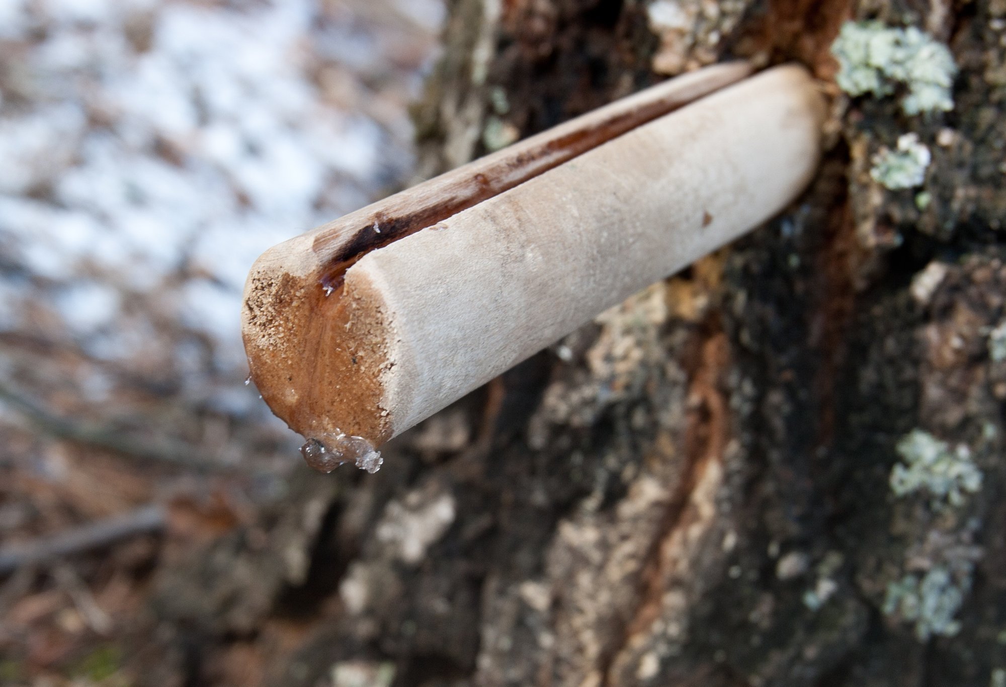 Kaip teisingai gerti ir saugoti sulą - Delfi agro