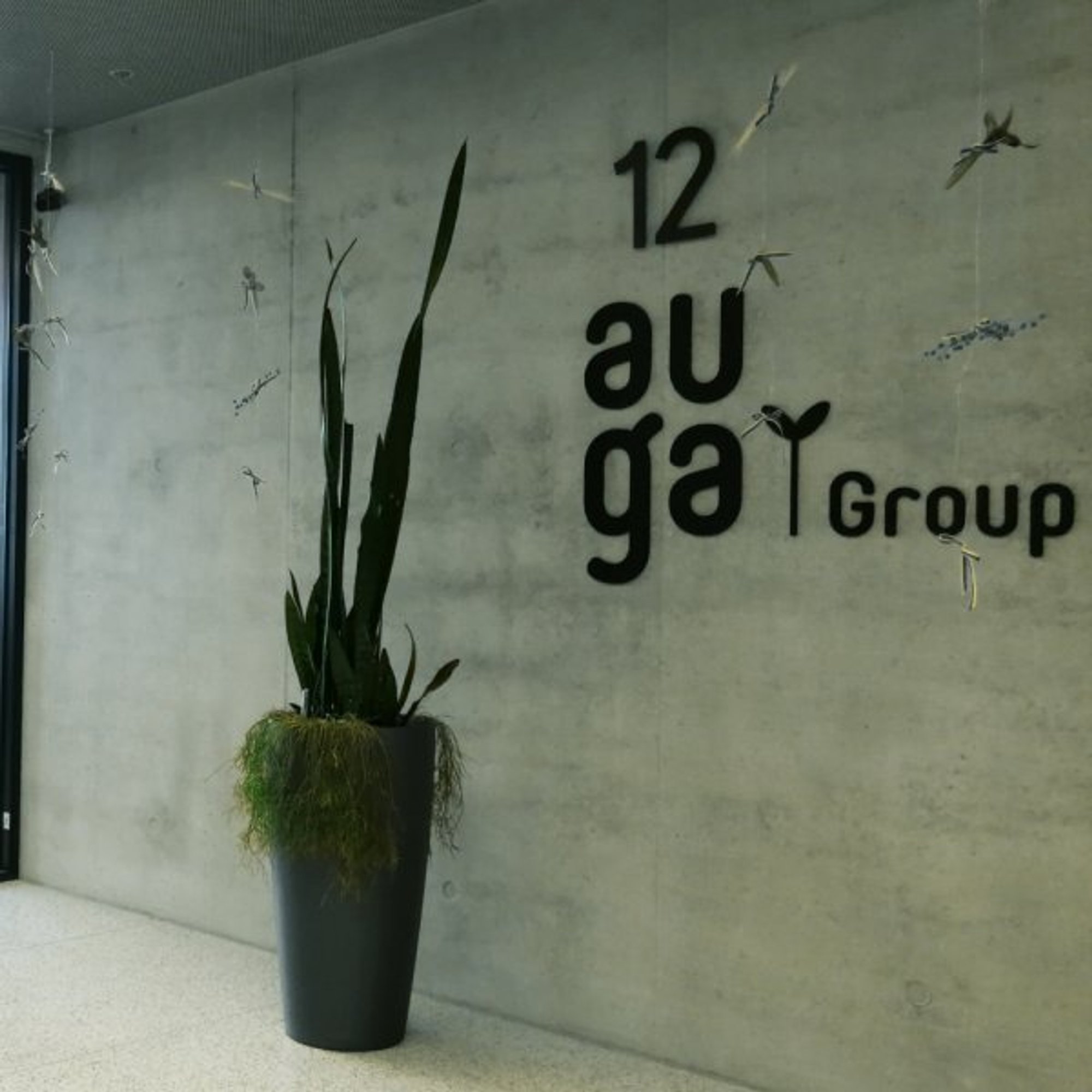 „AUGA group“ parengė restruktūrizacijos projektą, liepą šaukiamas ...