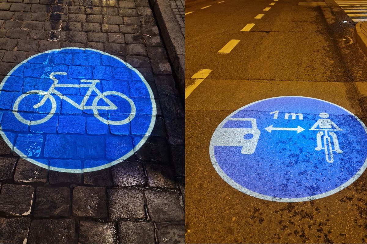 Участников движения удивили новые знаки: ничего подобного в Литве прежде не было - Delfi RU