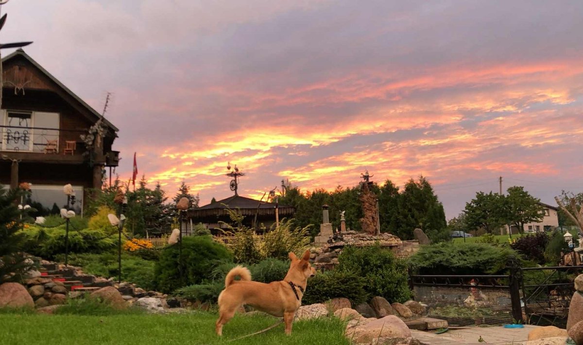 Neįprasta sodyba Kauno rajone: kiek stovi jachta - Delfi gyvenimas