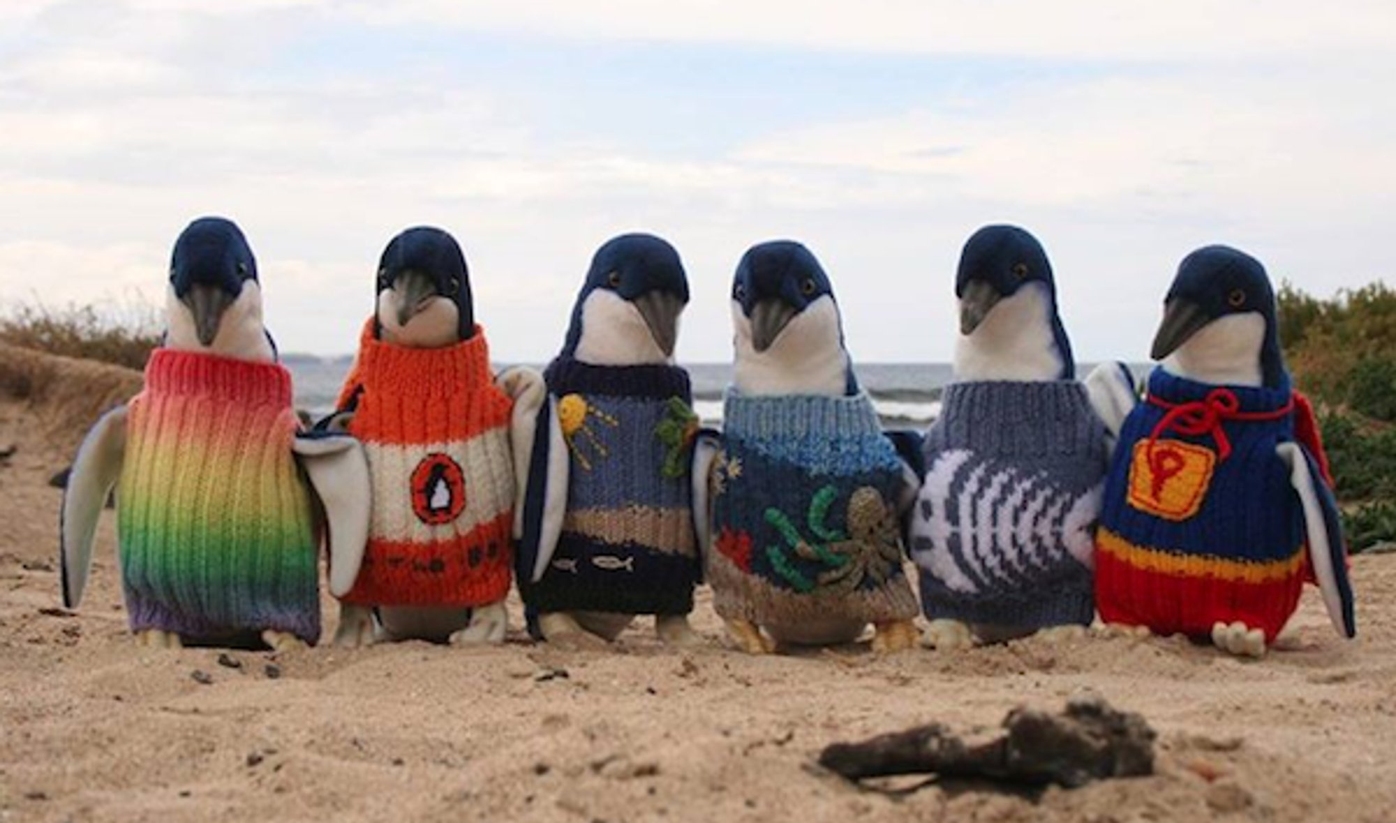 Šimtametis senolis pingvinams mezga megztinius - Delfi grynas