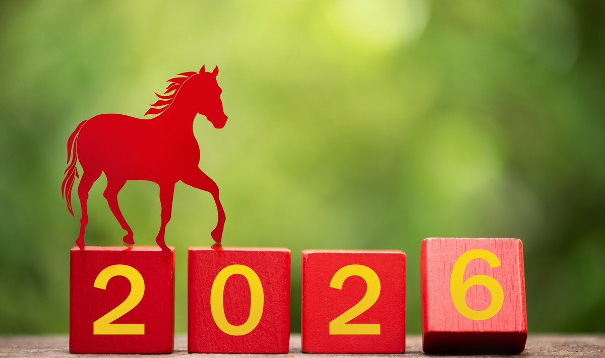 2026-ieji Ugninio Arklio metai: Kokiems Rytų horoskopo ženklams ...