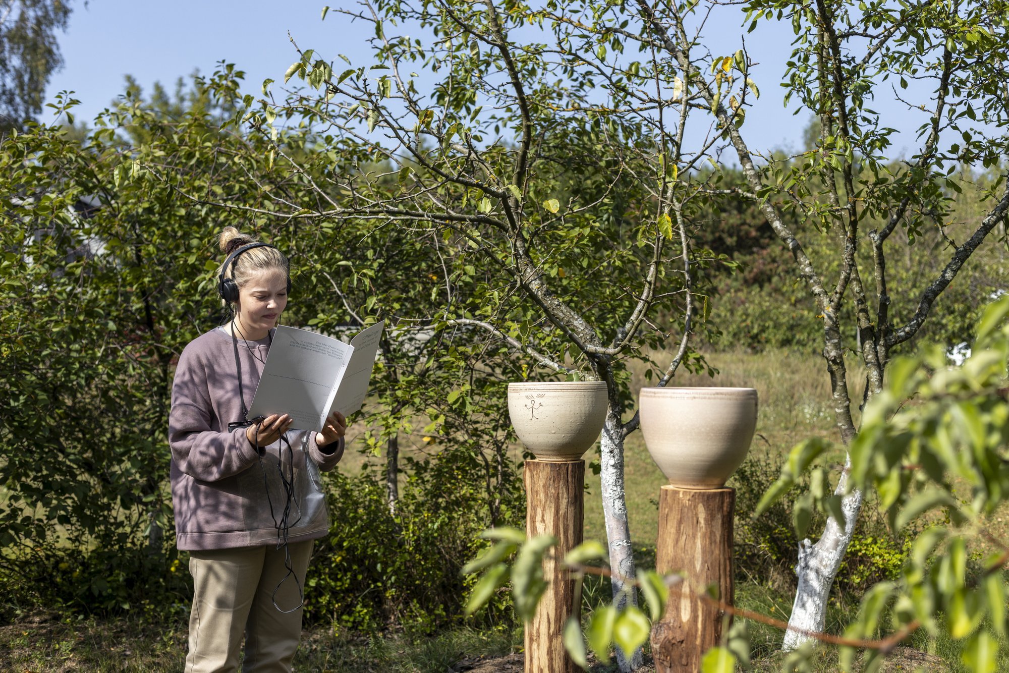 Nida invites to recharge at special forest - Delfi EN