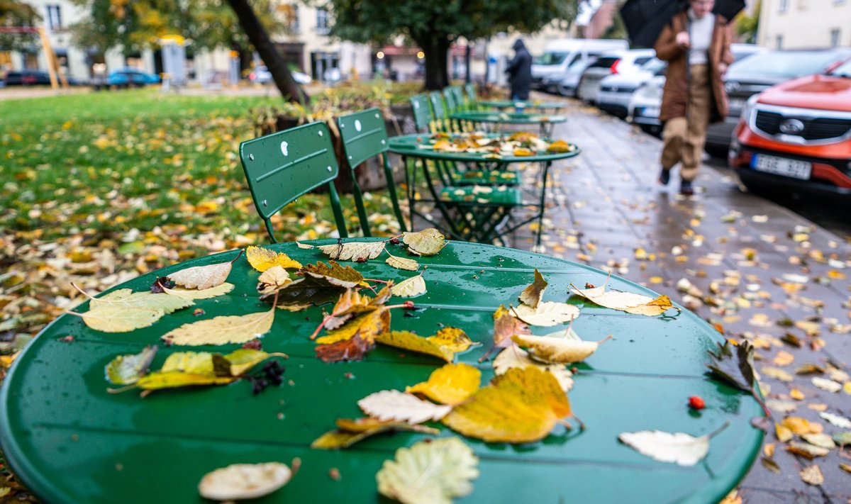 Orai: sugrįžta lietus ir šiluma - Delfi