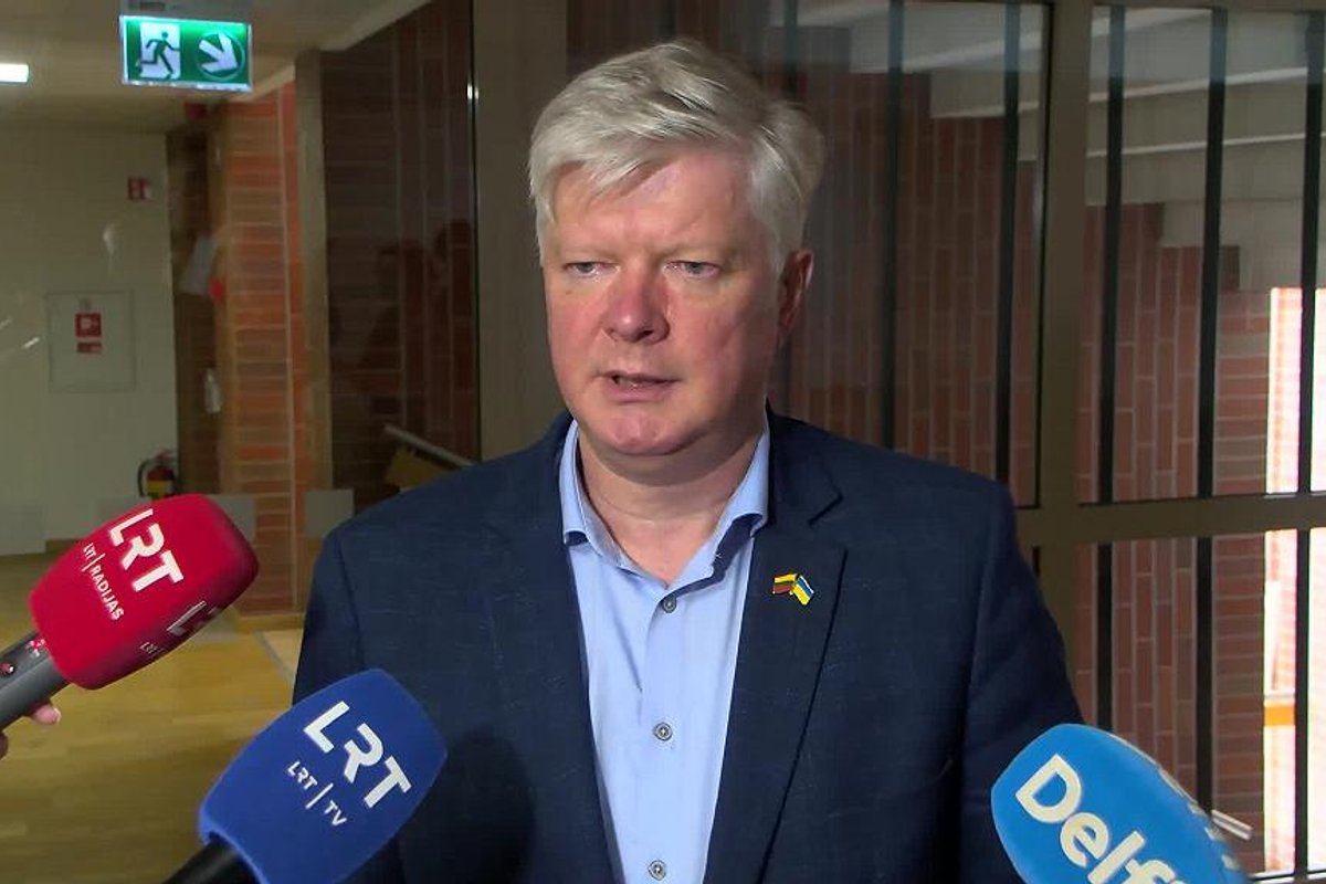 Navickas apie savo vietą konservatorių sąraše į Seimą: logiška, nes ...