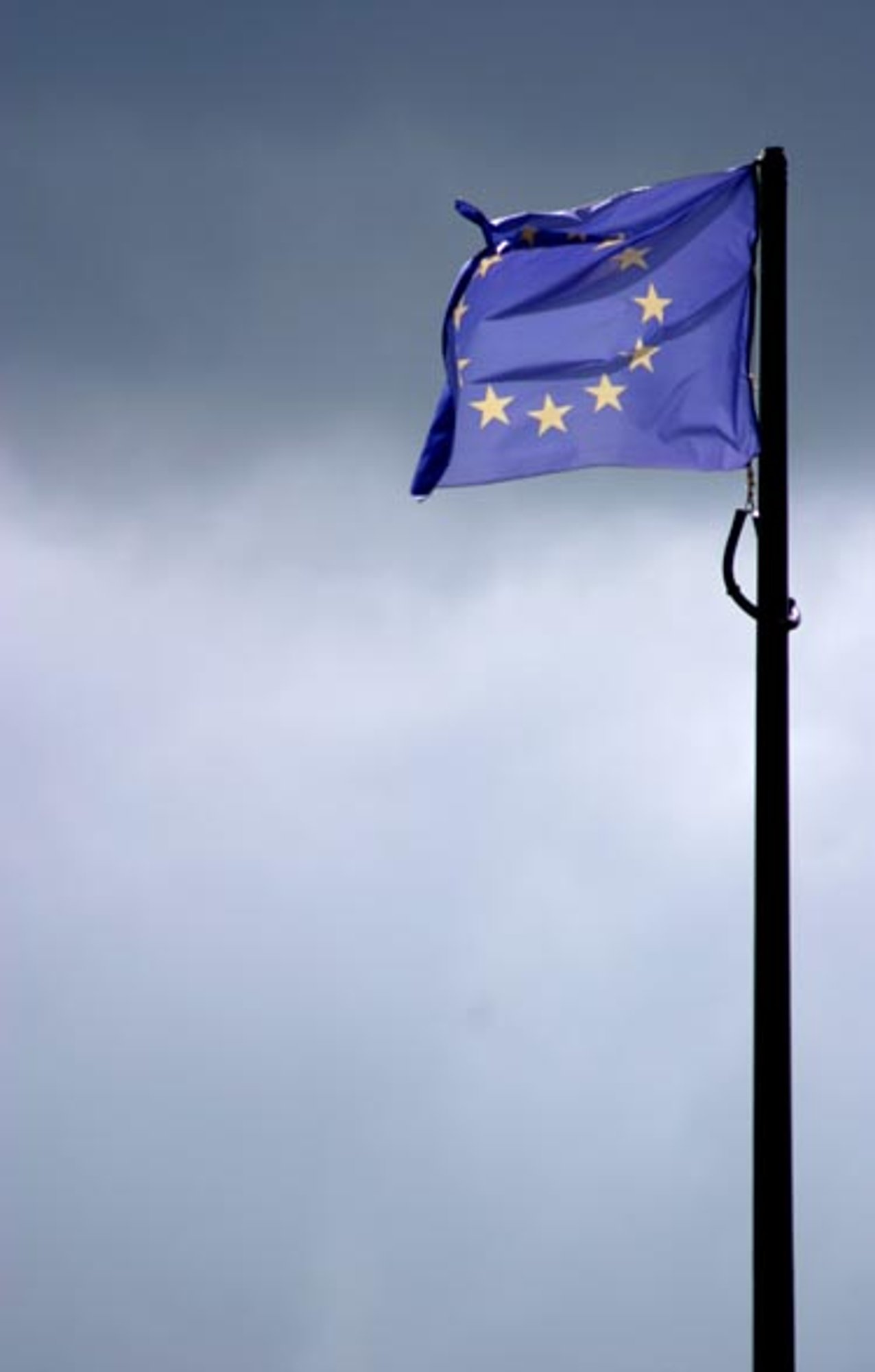 ES mano, kad Ukraina turi realių galimybių ateityje tapti Sąjungos nare ...