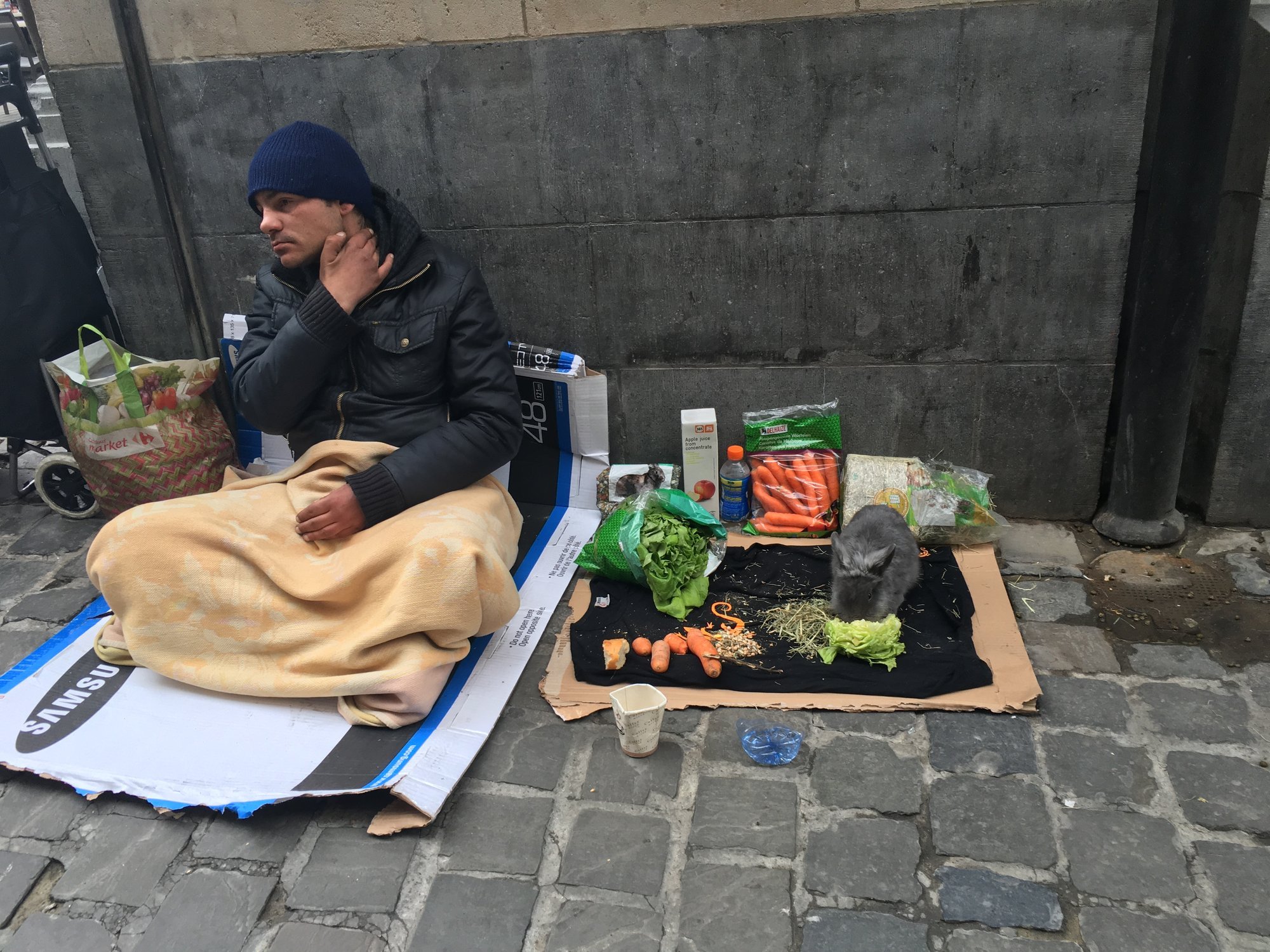 Benamiai pasaulio miestuose – nuo prabangių viešbučių iki būsto ant ...