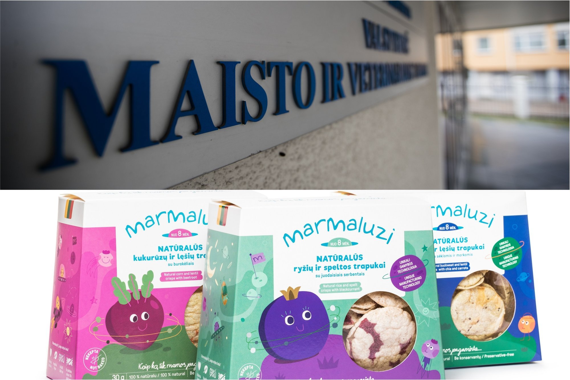 „Marmaluzi“ vadovas: kai kurios VMVT pastabos nueina per toli - Delfi ...