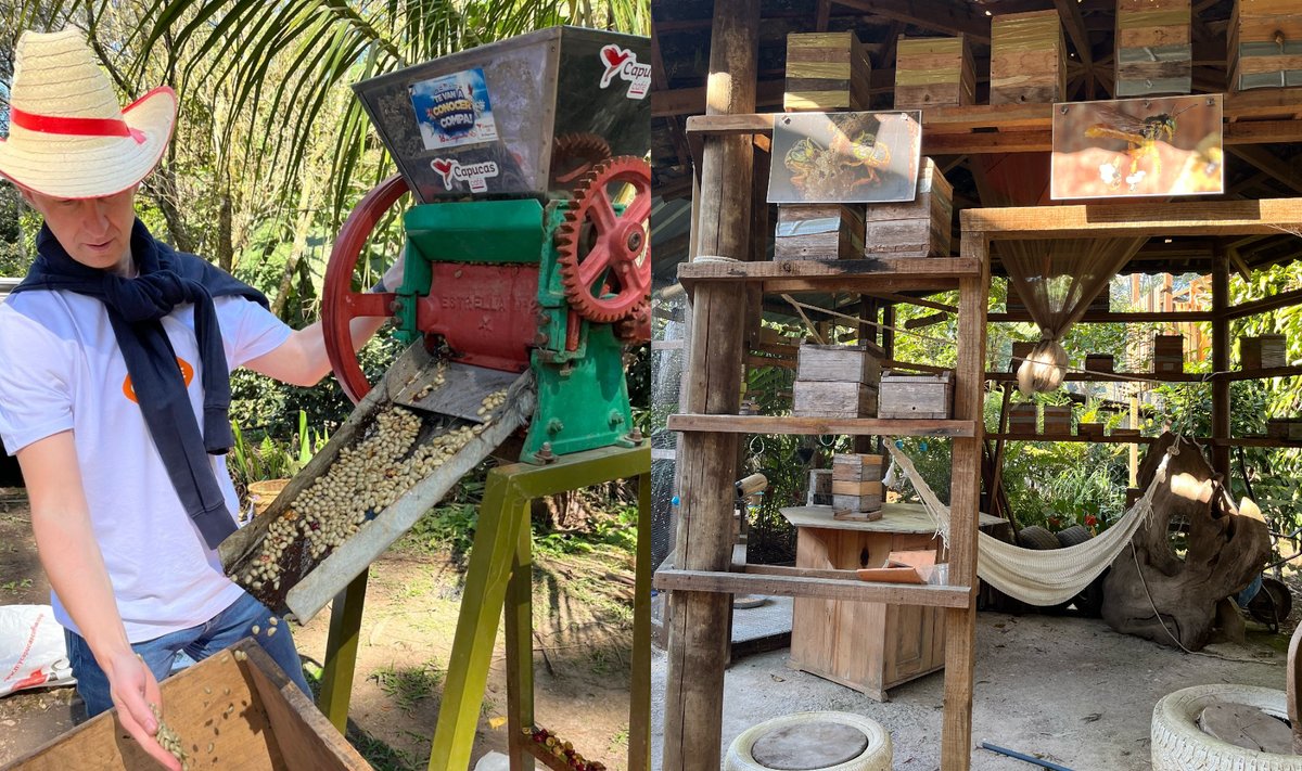 Kavos ūkiuose Hondūre pluša ir bitės – kuo ypatingas toks medus? - Delfi maistas