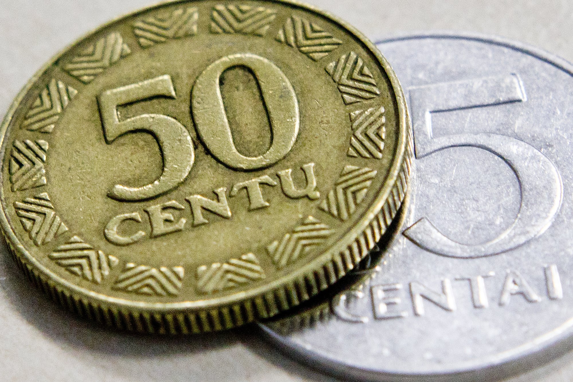 Artists hope "Lithuanian cent room" to be listed in Guinness Book of ...