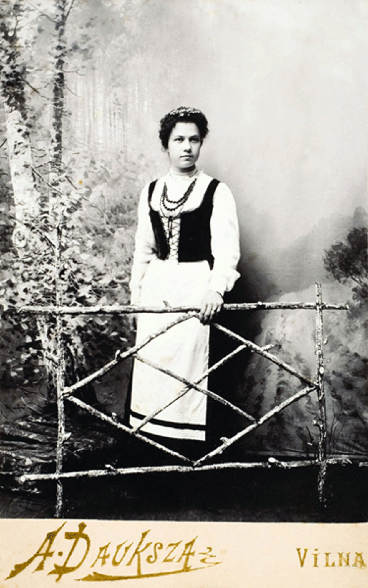 Į Vilnių sugrįžta šimtametė „Birutė“ - Delfi kultūra